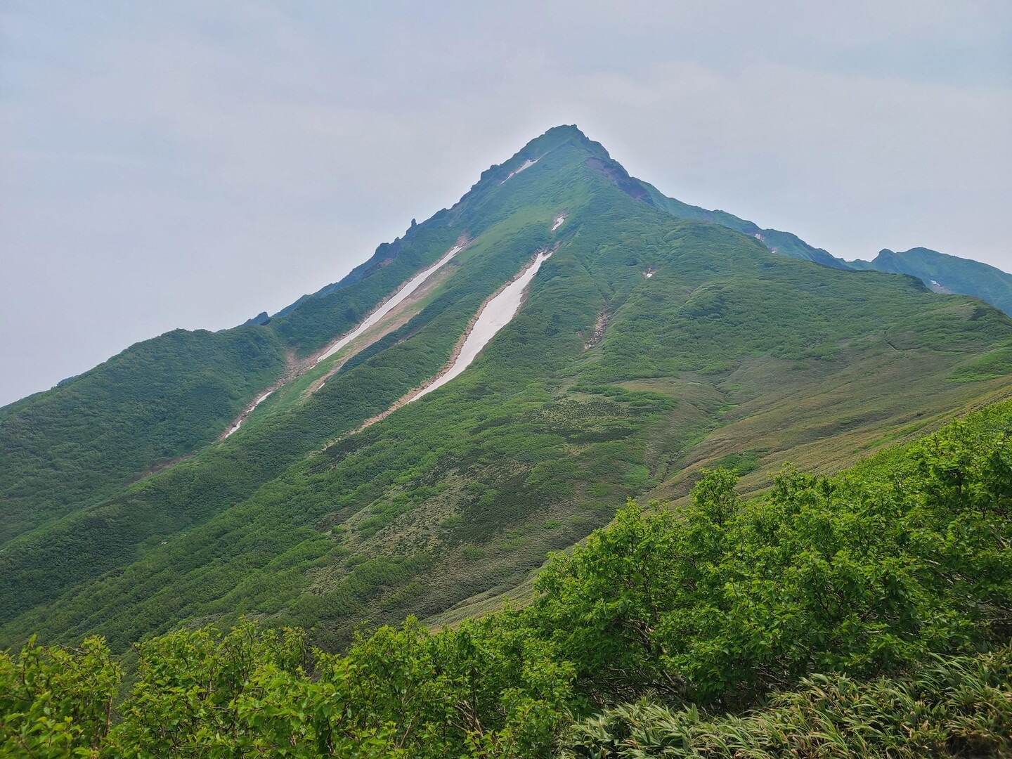 百名山最後の山、利尻山（利尻富士） / Koikoiさんの利尻山（利尻富士）の活動データ | YAMAP / ヤマップ