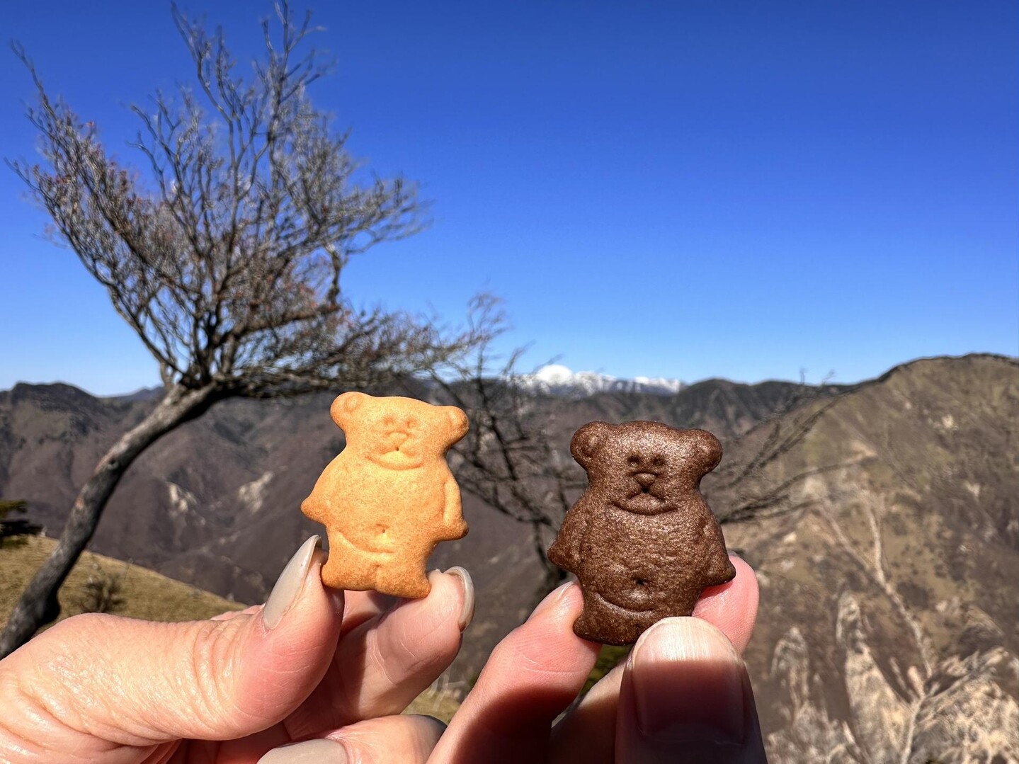 中倉山・沢入山 / ER☻さんの社山・半月山の活動データ | YAMAP / ヤマップ