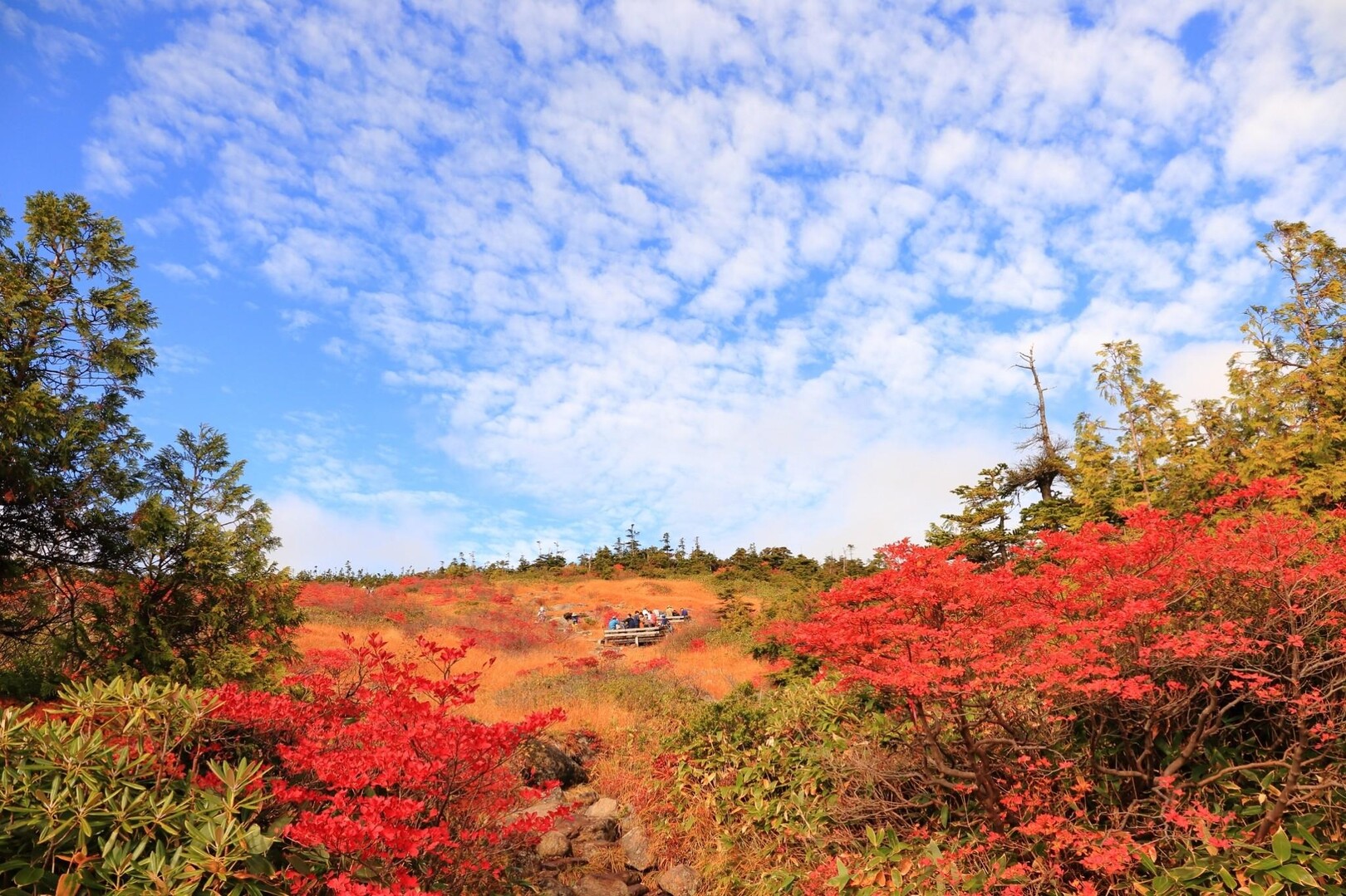 苗場山_2022/10/15 / Tatsuyaさんの苗場山・赤倉山・佐武流山の活動データ | YAMAP / ヤマップ