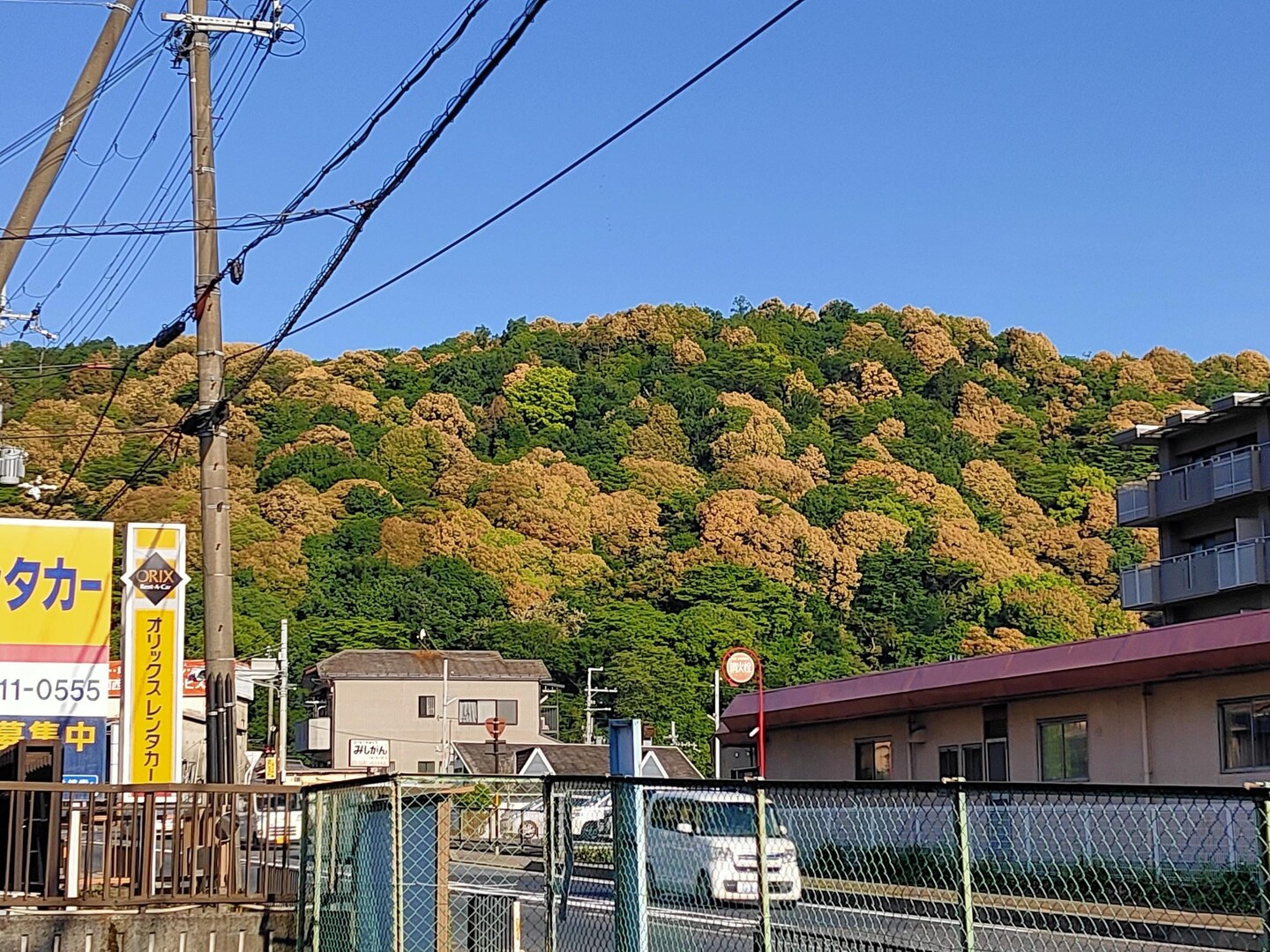 ビワイチ〜京都一周1/2 (大津〜伏見桃山〜向日町) 音羽山・牛尾山・千頭岳・西千頭岳・醍醐山 / ひでokさんの音羽山・醍醐山の活動データ | YAMAP / ヤマップ