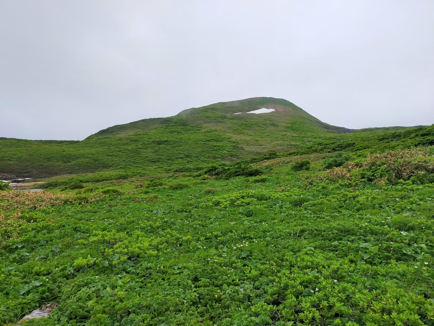 焼石岳・南本内岳・東焼石岳 / Tacさんの焼石岳・兎森山・鷲ヶ森山の活動データ | YAMAP / ヤマップ
