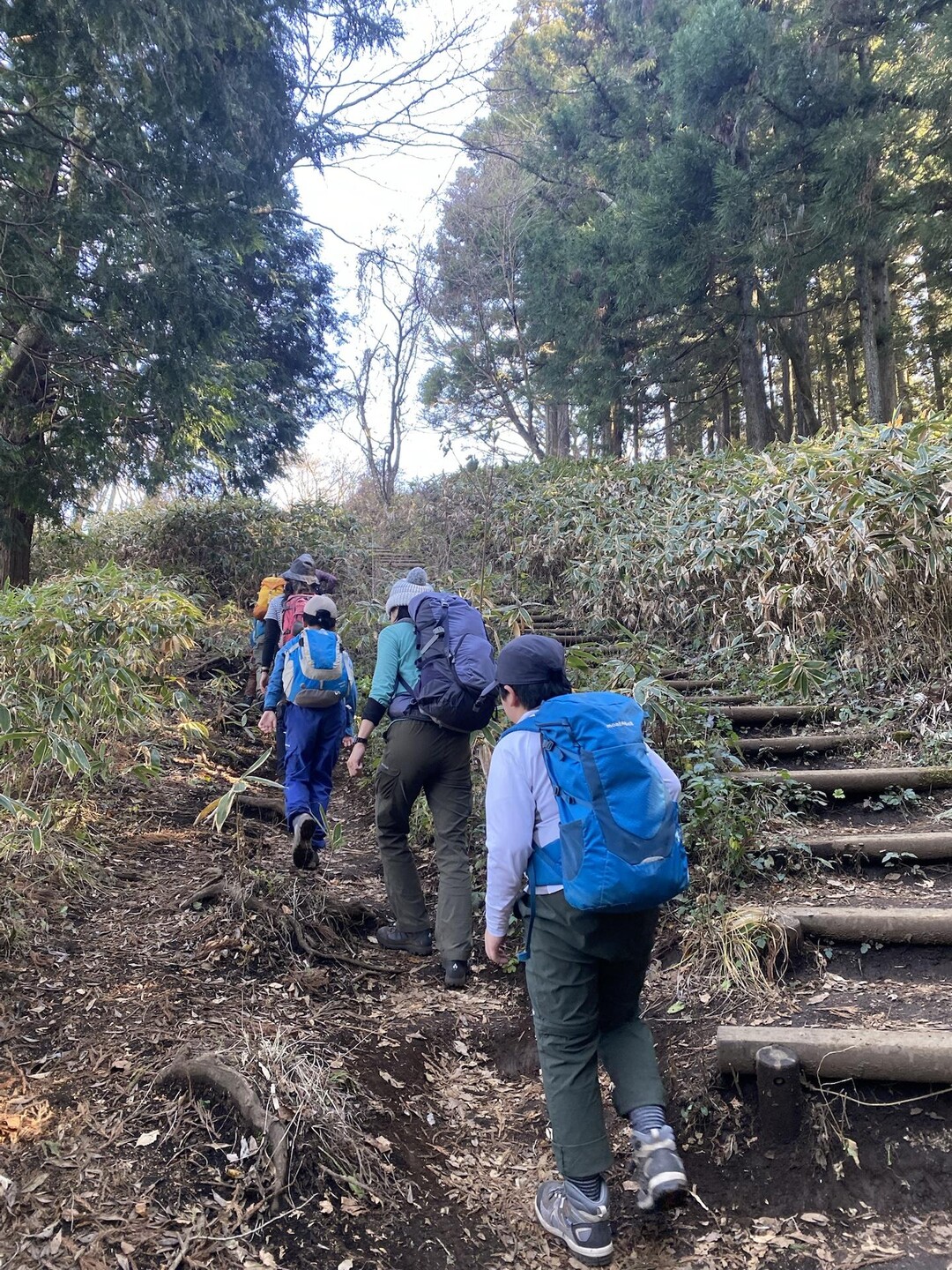 和田から陣馬山・景信山・城山（小仏城山）・高尾山 / カナのシロクマさんの高尾山・陣馬山・景信山の活動データ | YAMAP / ヤマップ