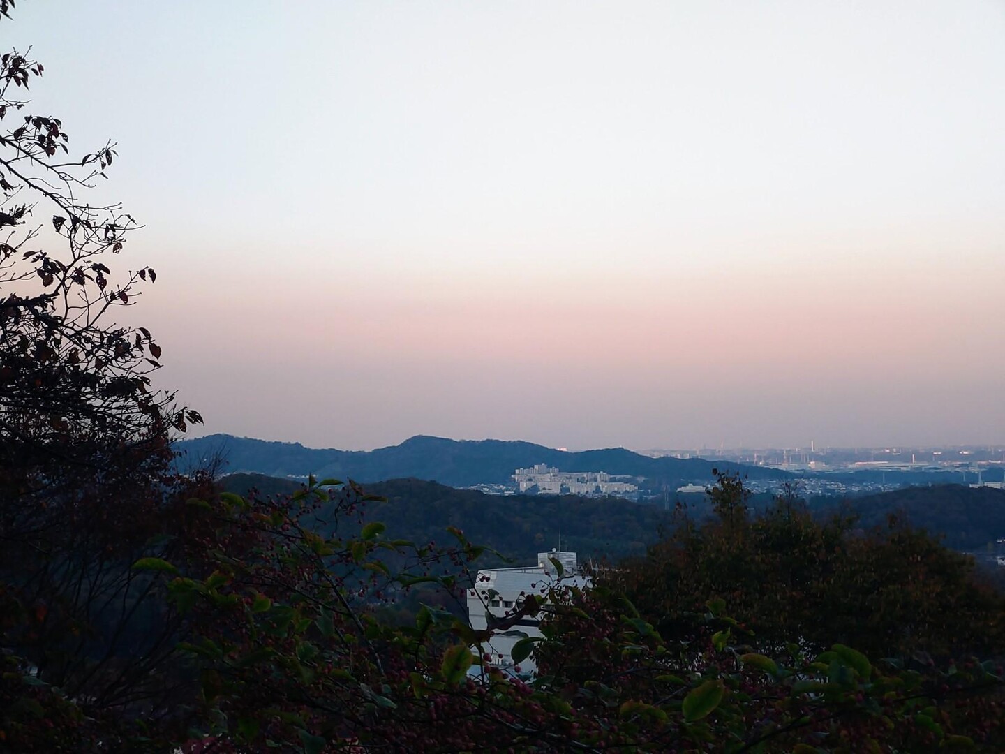 今日の散歩は七沢森林公園へ🐾 広くて... / hachacha-umemeさんのモーメント | YAMAP / ヤマップ