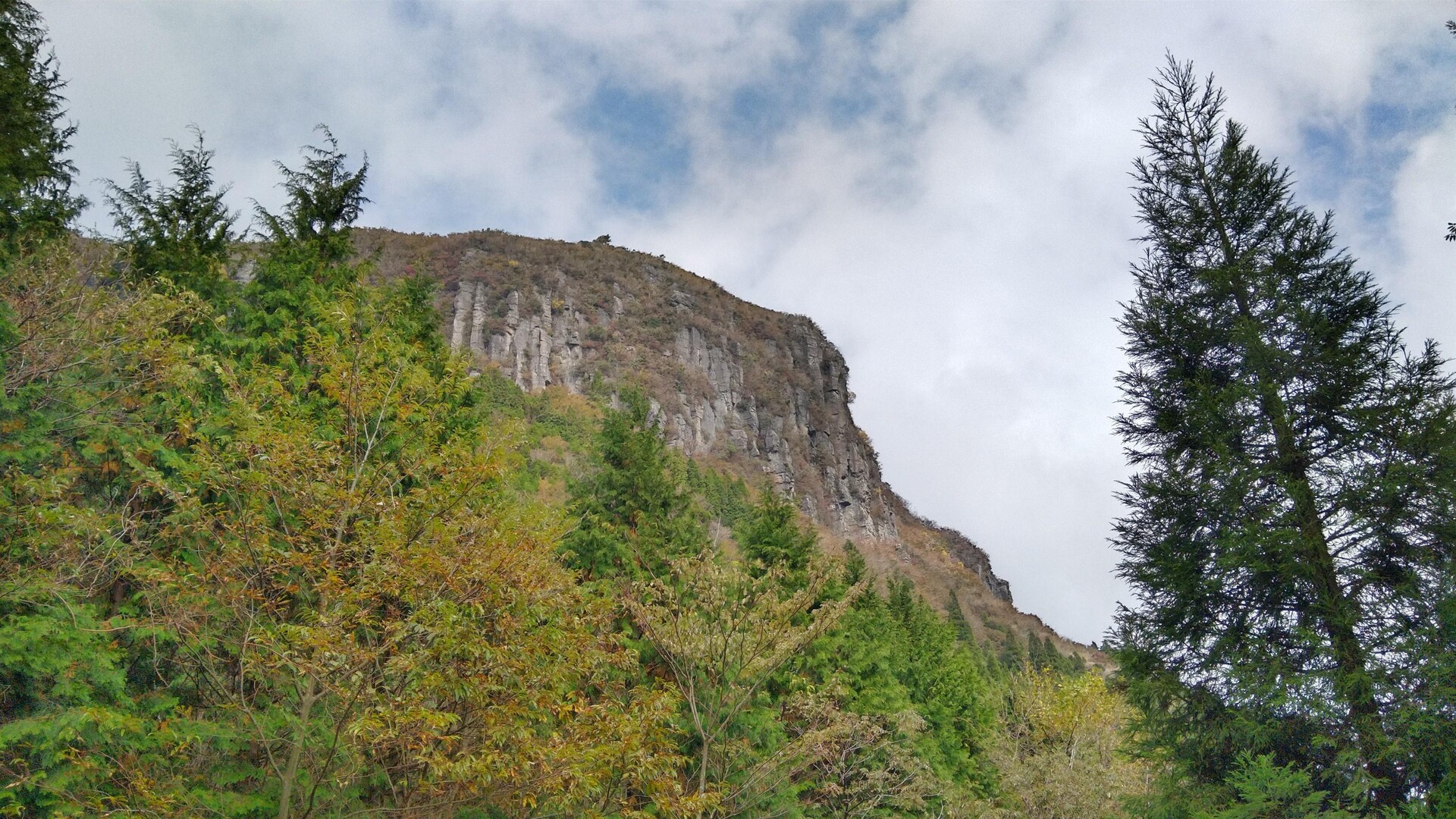 万年山・西万年 / ロンリーウルフさんの万年山・伐株山の活動データ | YAMAP / ヤマップ