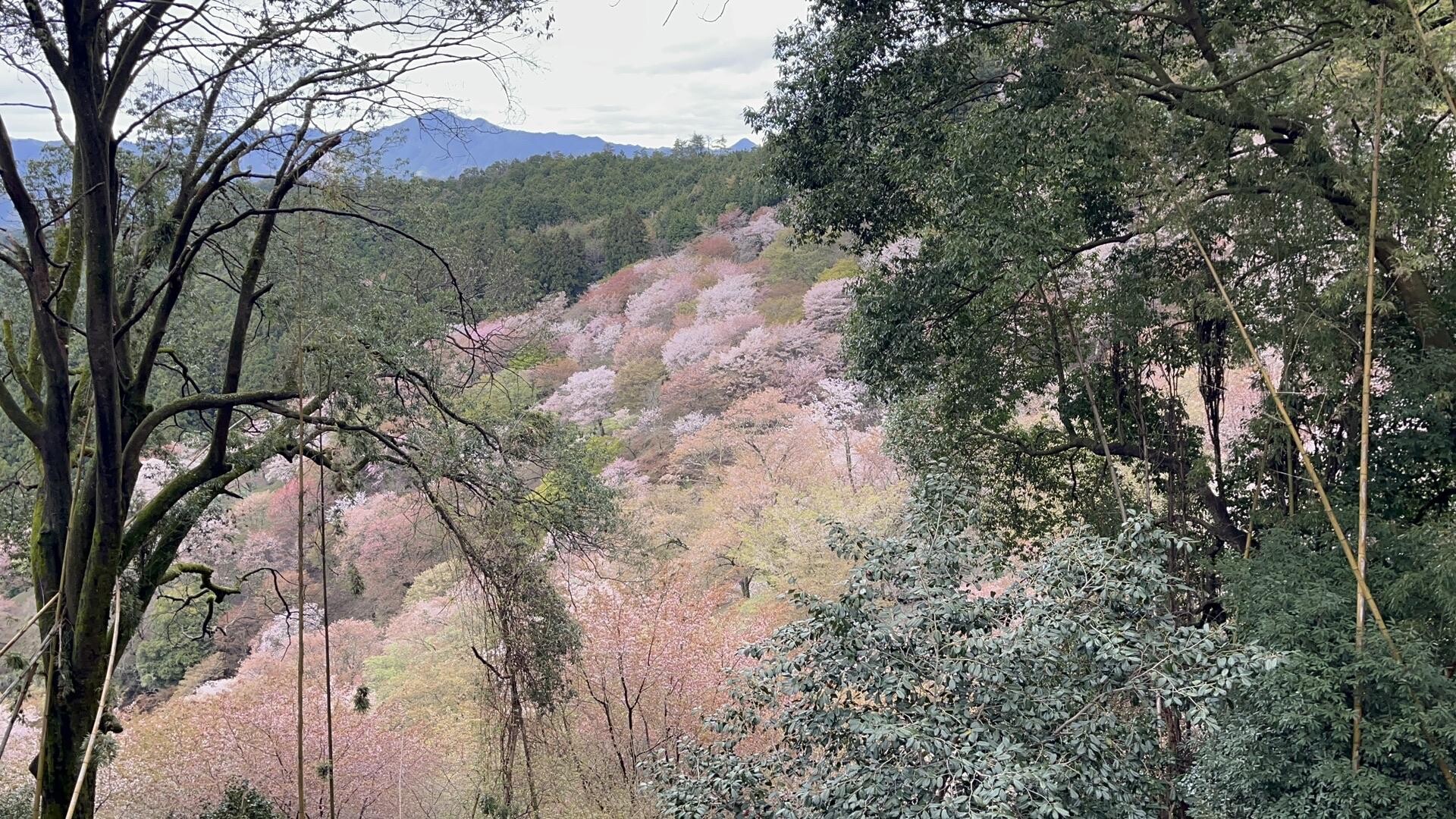 一生に1度ではなく、何度でも訪れたい場所... / a.o_____yamaさんのモーメント | YAMAP / ヤマップ