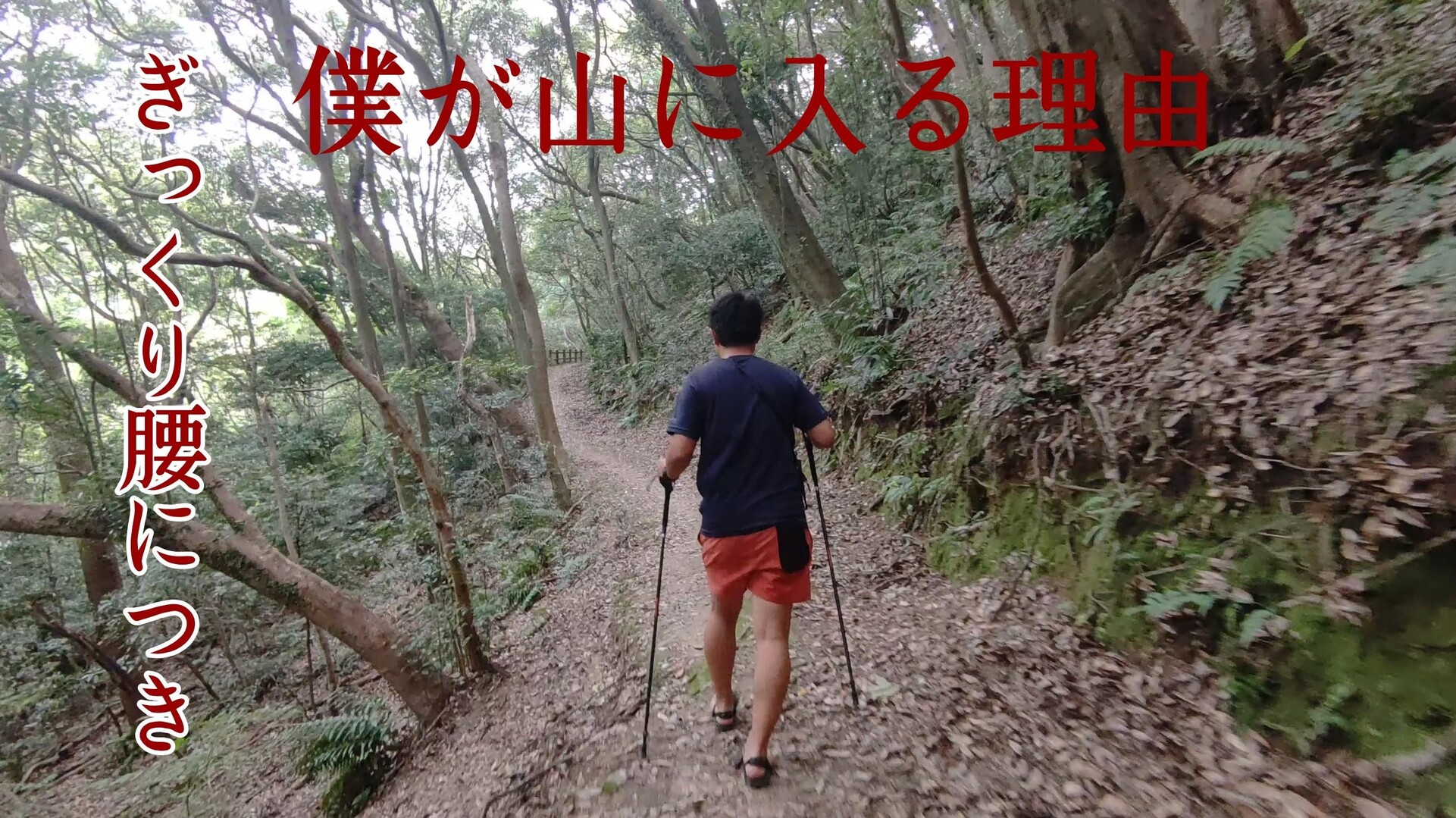 三連休最終日 ぎっくり腰が完治してないけ... / RYUさんのモーメント | YAMAP / ヤマップ