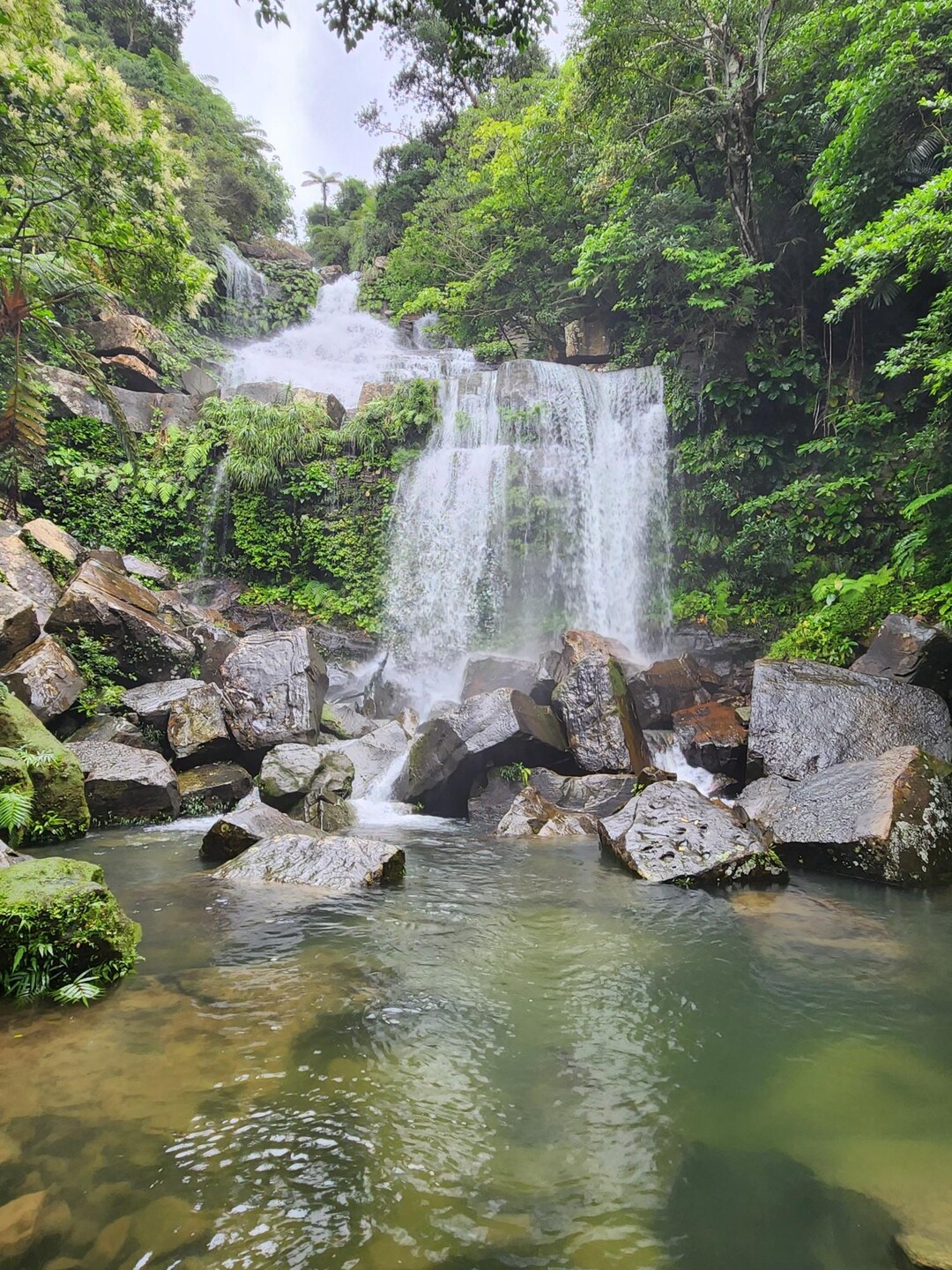 西表島のゲータの滝見 / jinba-shuさんの西表島の活動データ | YAMAP / ヤマップ