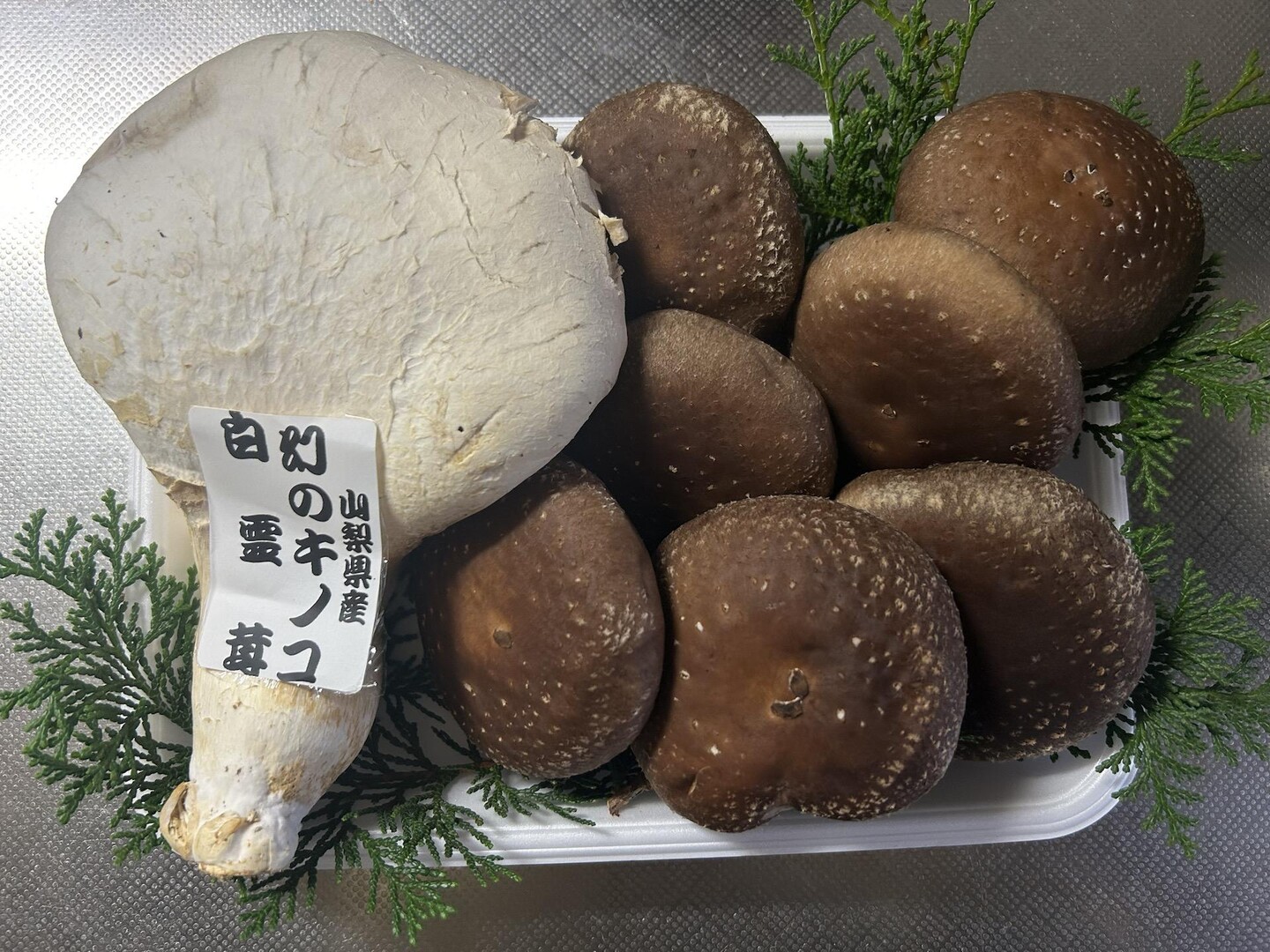 大菩薩嶺 / yumさんの大菩薩嶺・鶏冠山・大マテイ山の活動データ | YAMAP / ヤマップ