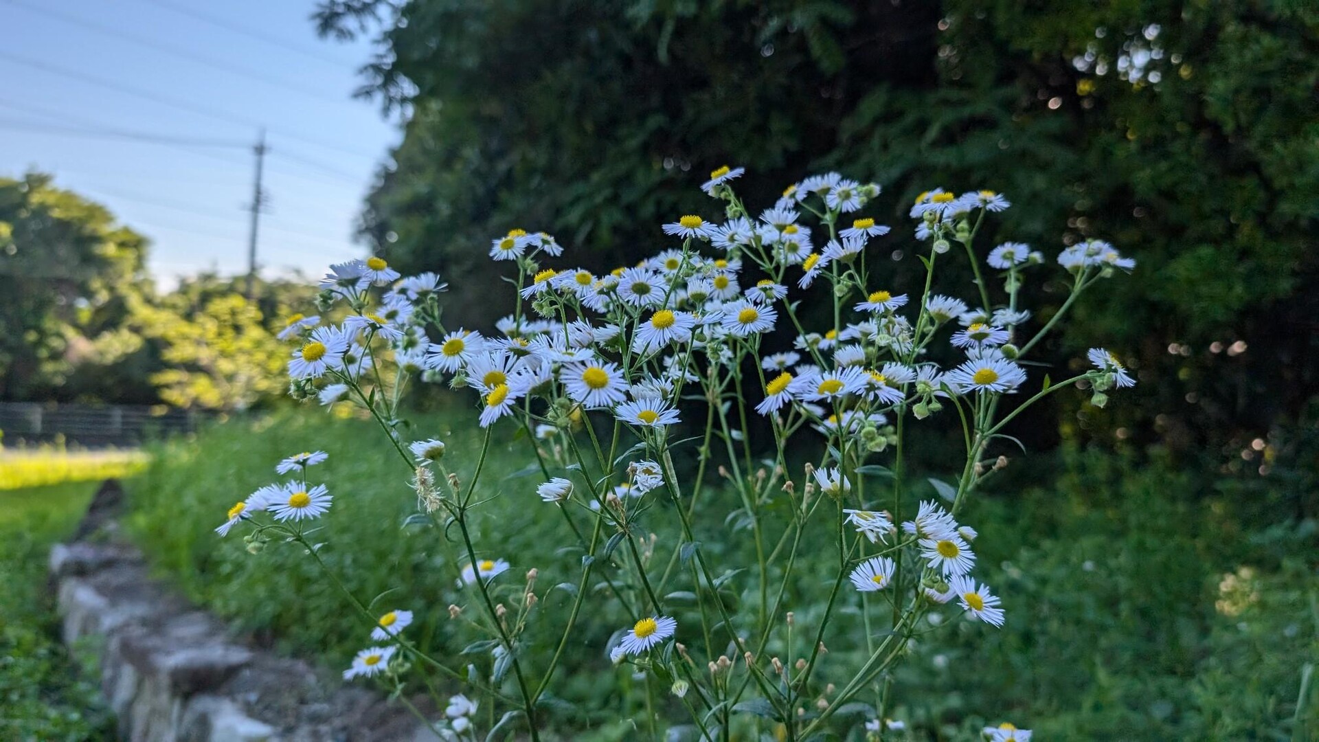 弁天山 take2 / おたけさんさんの桑名市の活動日記へのコメント一覧 | YAMAP / ヤマップ