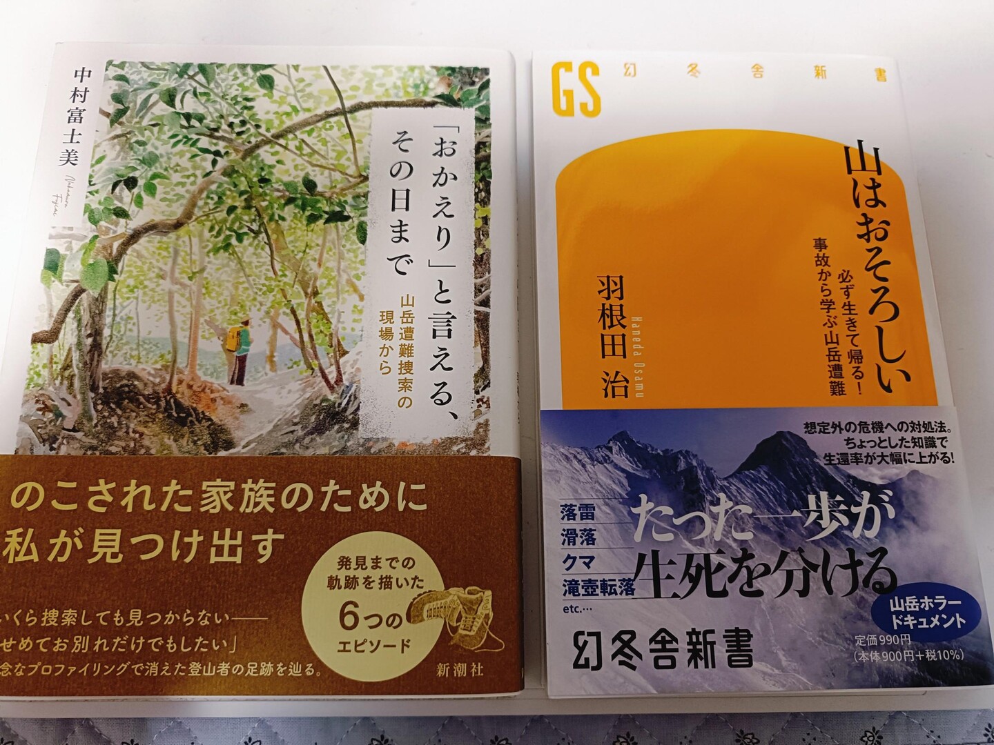 お正月、山岳遭難や山岳事故の本をまとめて... / AZUさんのモーメント | YAMAP / ヤマップ
