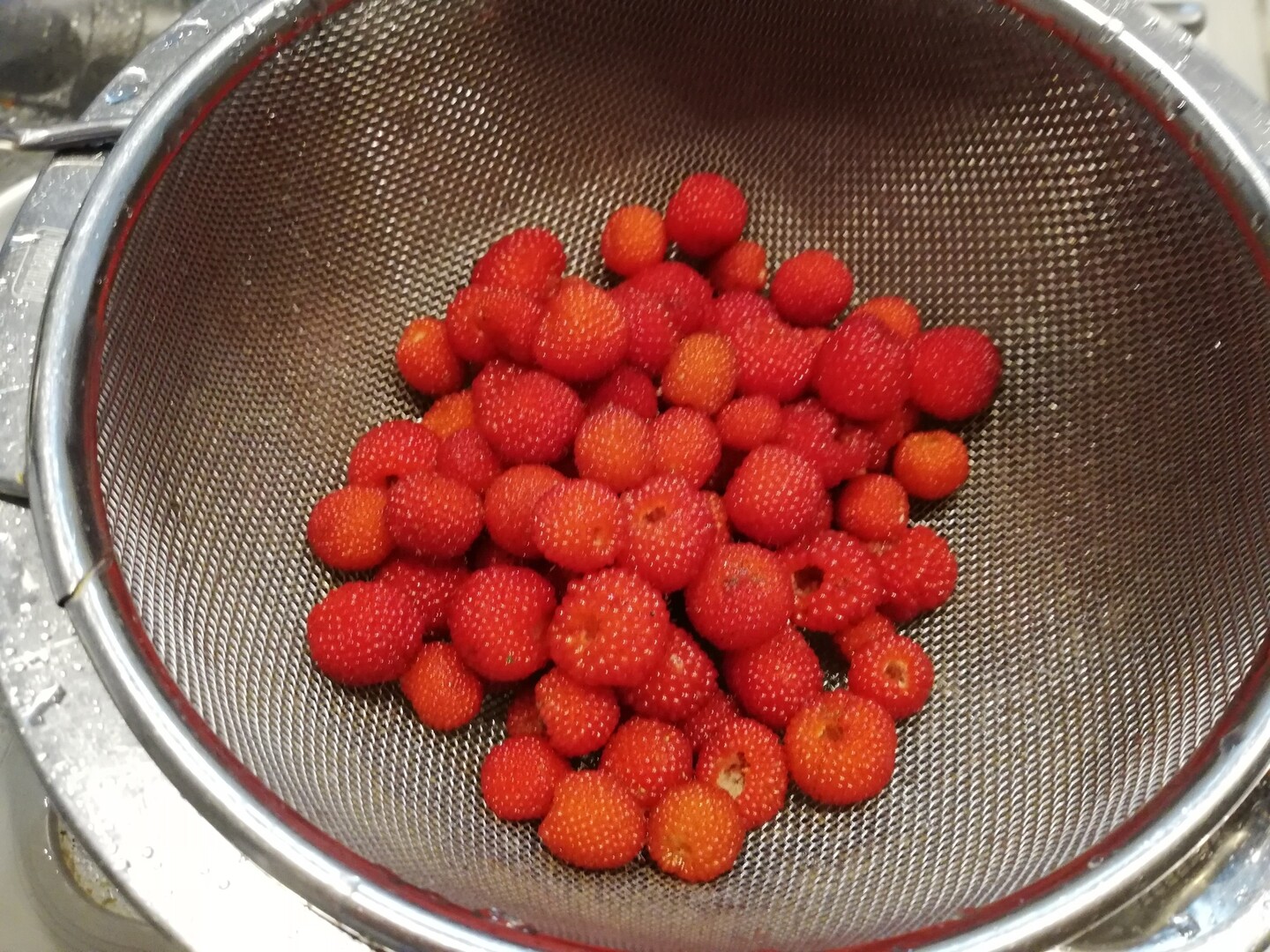 野いちごでジャム🍓 野いちごの香... / Mt. 3776さんのモーメント | YAMAP / ヤマップ