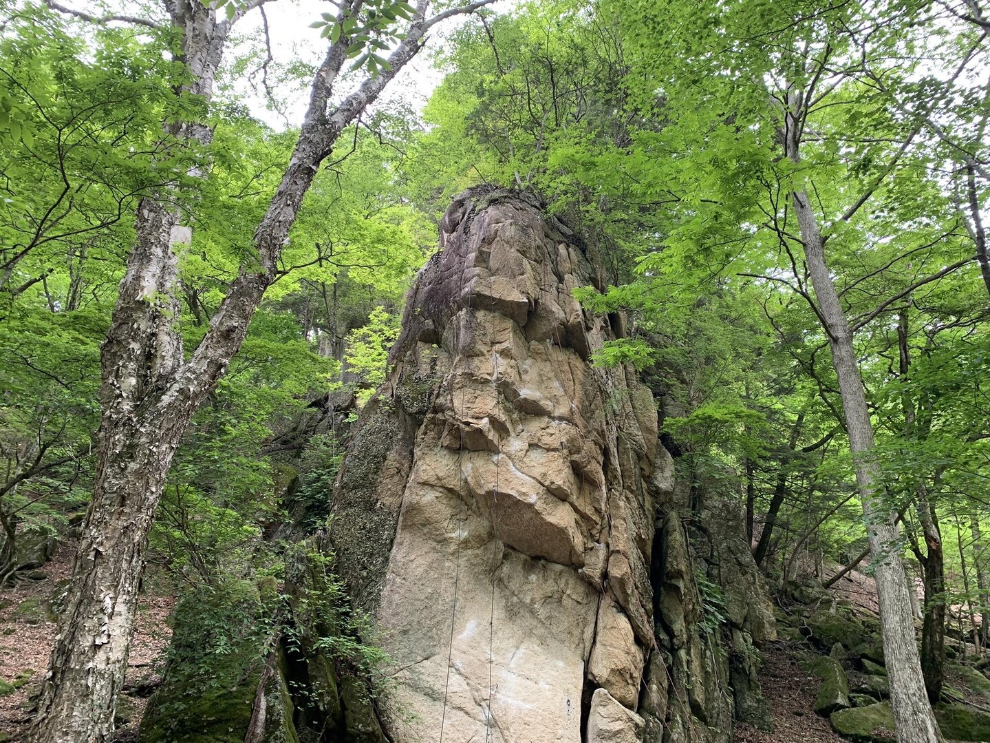 カサメリ沢 / hisaさんの瑞牆山・金峰山の活動日記 | YAMAP / ヤマップ
