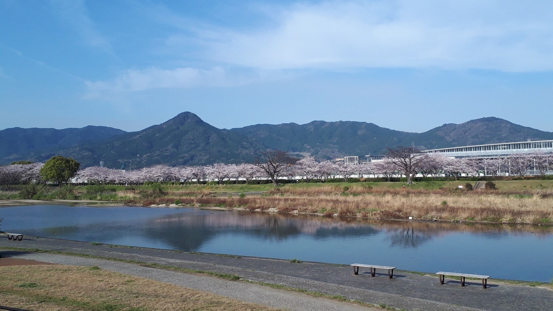 昨日に引き続き今日は、室見川沿いをジョギ... / katu3さんのモーメント | YAMAP / ヤマップ