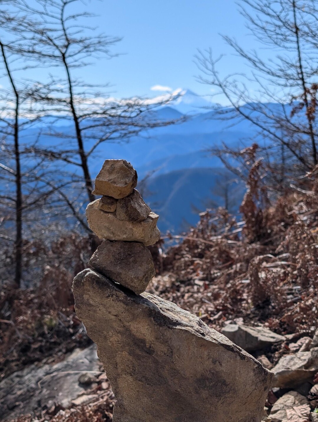 鴨沢BS⇒雲取山⇒雲取山荘泊⇒白岩山⇒三峯神社 / Harakoさんの雲取山・鷹ノ巣山・七ツ石山の活動データ | YAMAP / ヤマップ