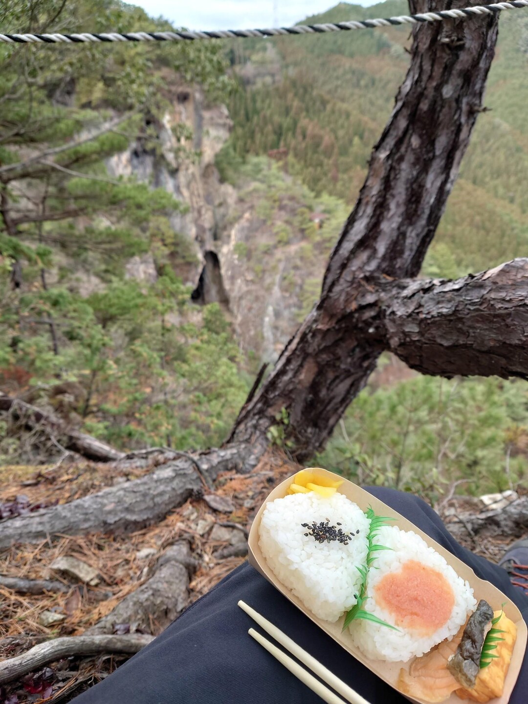 母栖山 / Ken16さんの宮山の活動データ | YAMAP / ヤマップ