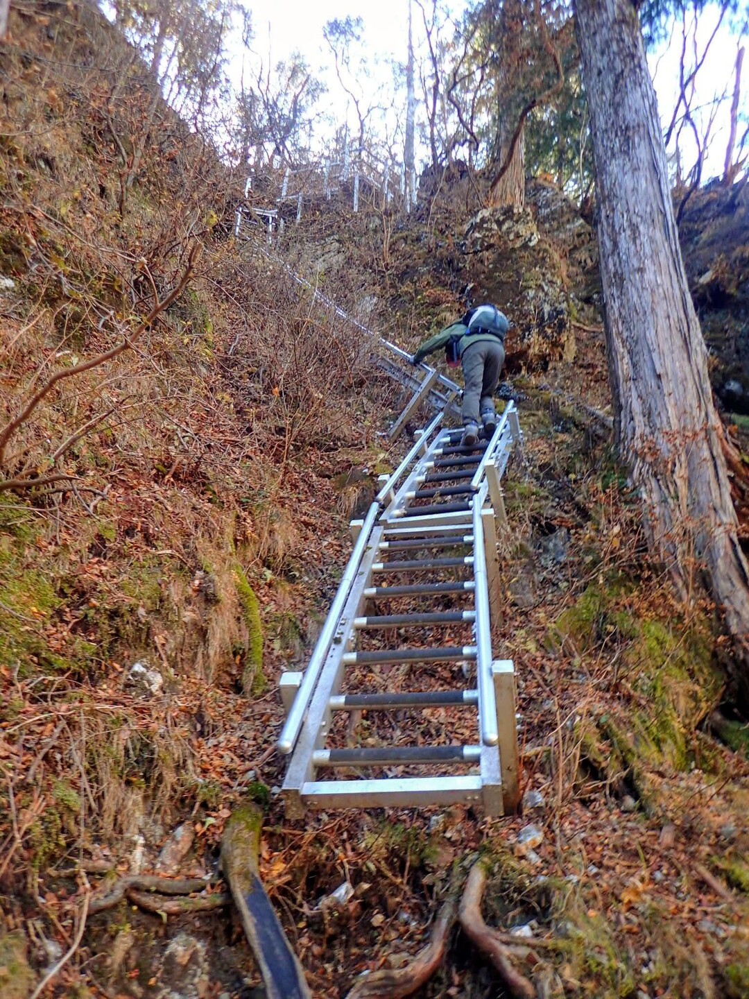 石裂山-12-10 / METAL-渓山さんのウォーキングの活動データ | YAMAP / ヤマップ