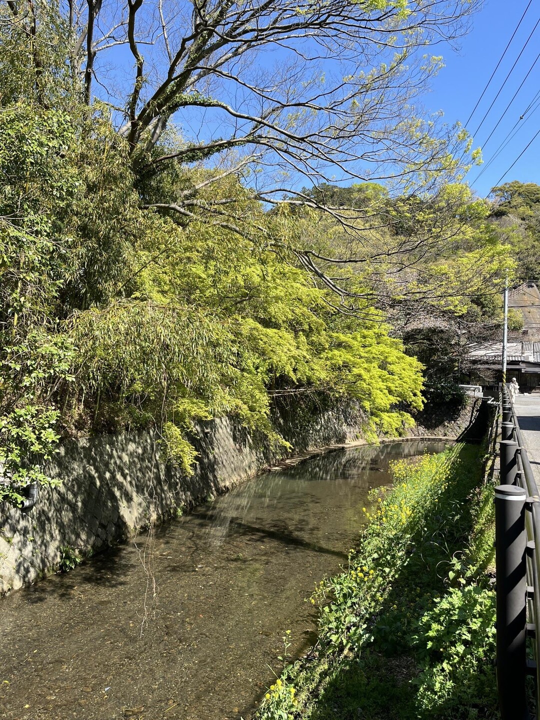 新緑の鎌倉アルプスを歩く / takeyanさんの鎌倉アルプス（大平山・天台山）の活動データ | YAMAP / ヤマップ