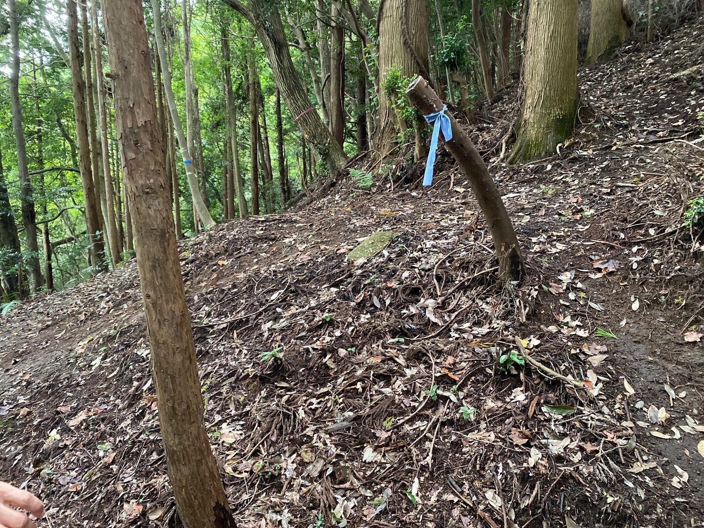 Gomaさんの投稿したフィールドメモ | YAMAP / ヤマップ