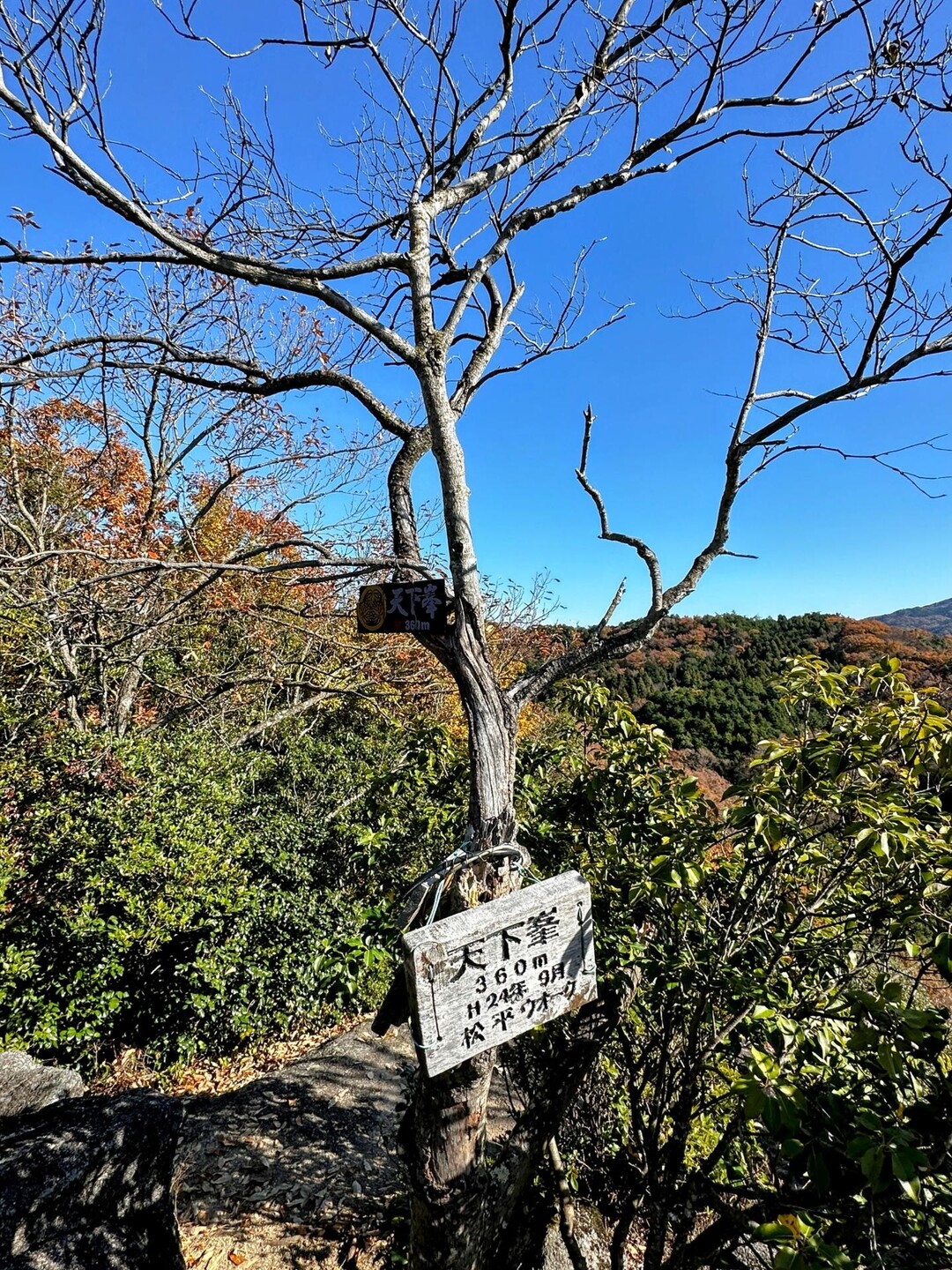 梟ヶ城址展望台・天下峯 / kaomi-ruさんの六所山・炮烙山の活動データ | YAMAP / ヤマップ