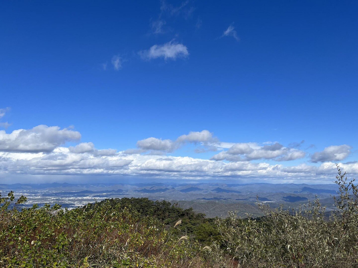 六甲山・長峰山・摩耶山-2023-11-18 / Daiさんの六甲山・長峰山・摩耶山の活動データ | YAMAP / ヤマップ