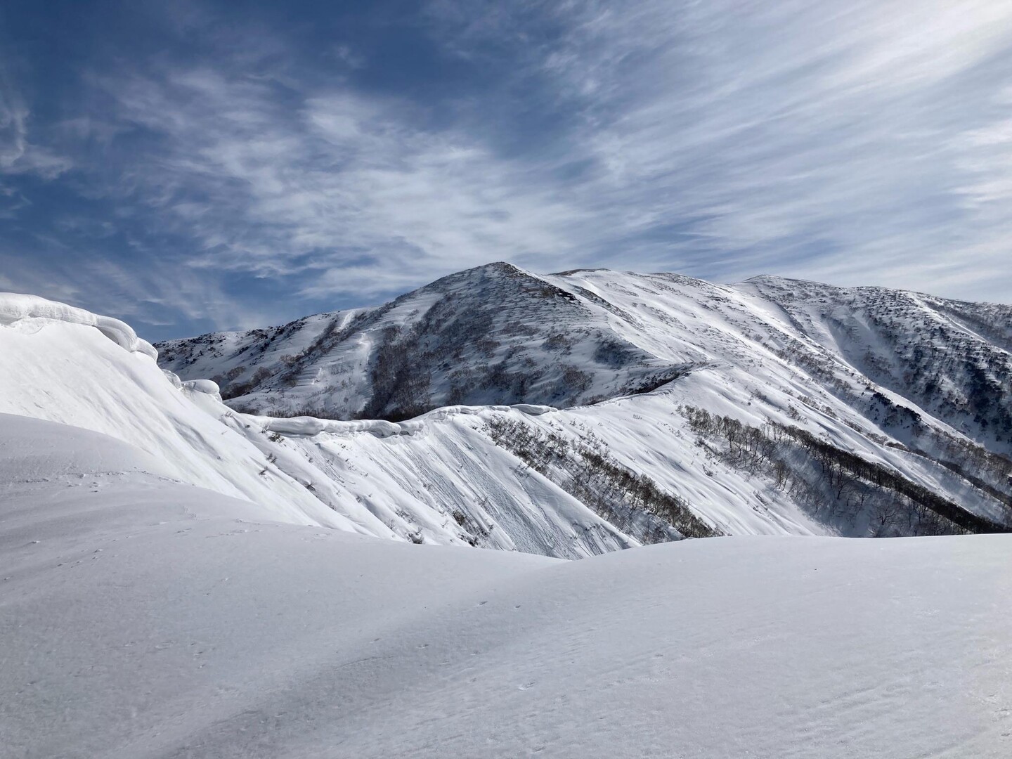 平標山（↑松手山↓ヤカイ沢） / Mayuさんの仙ノ倉山・平標山・大源太山の活動データ | YAMAP / ヤマップ