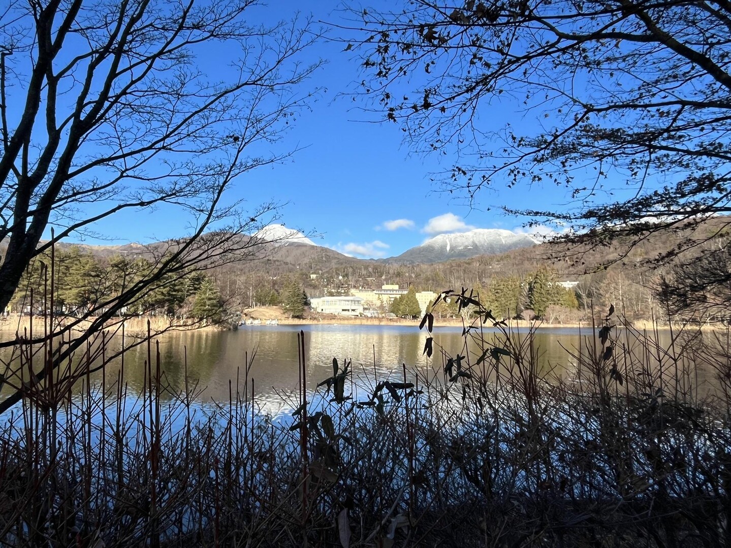 2024-01-03 息子とCamp / aoさんのウォーキングの活動データ | YAMAP / ヤマップ