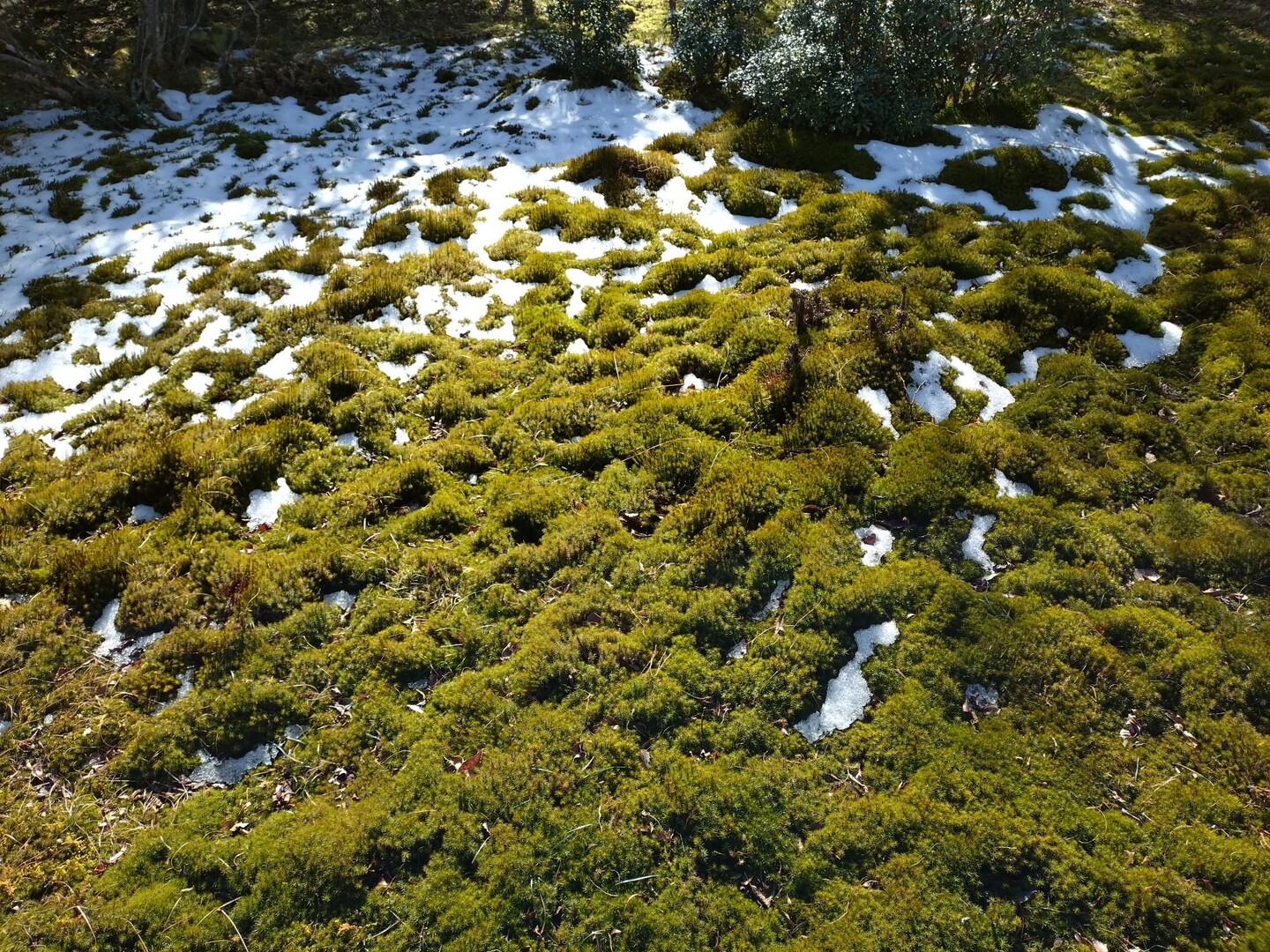 三峰山:日本300名山157/300座目 / zumiさんの三峰山・学能堂山・栗ノ木岳の活動データ | YAMAP / ヤマップ