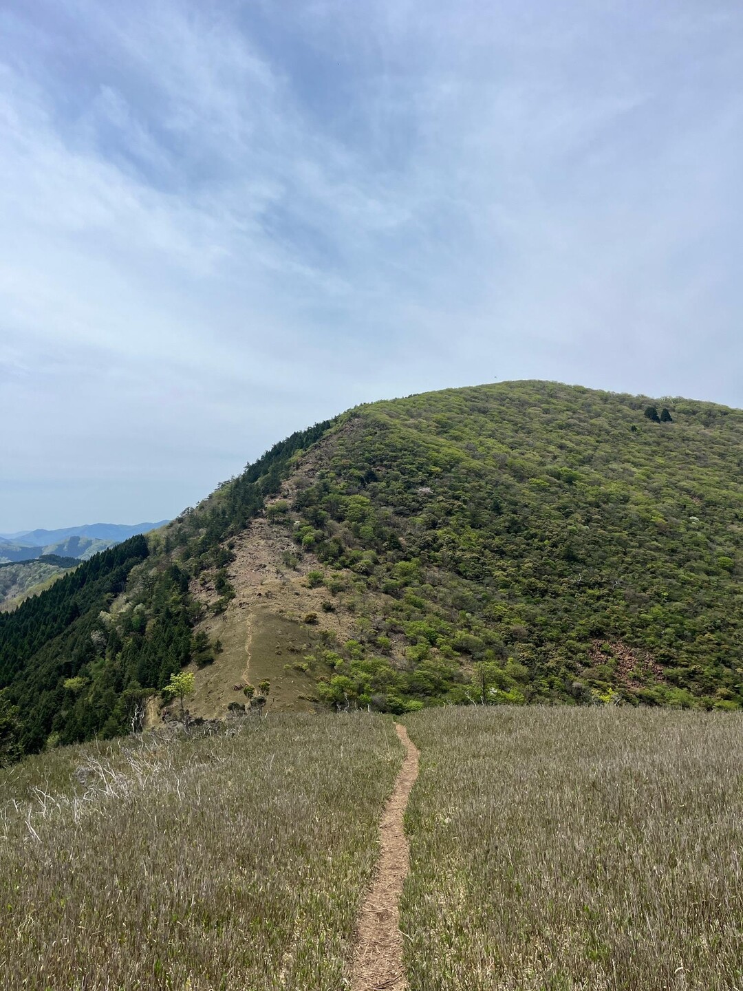 大江山〜鬼の岩屋〜赤石ヶ岳 / Shi Roさんの大江山連峰トレイルの活動データ | YAMAP / ヤマップ