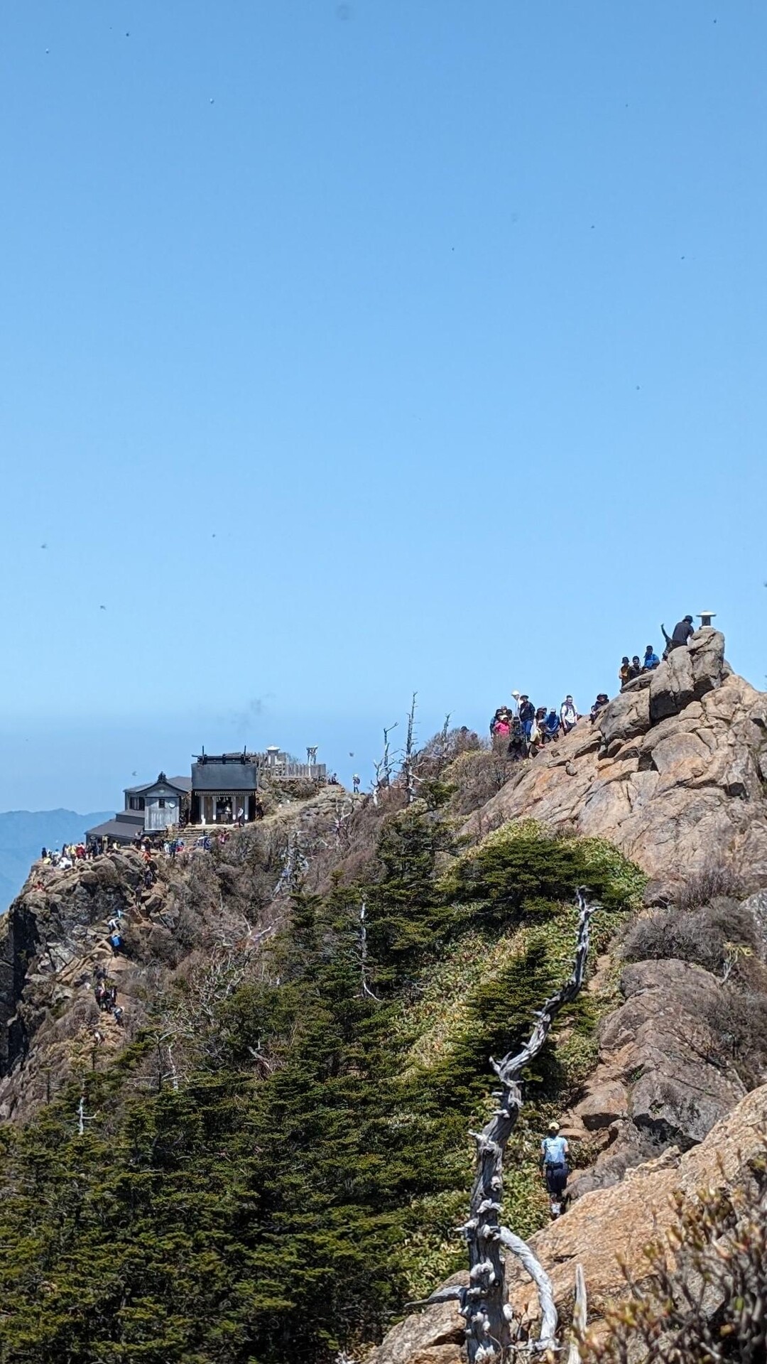 2024GW ⑤ 石鎚山⛩️東稜から / kensさんの石鎚山・堂ヶ森・二ノ森の活動データ | YAMAP / ヤマップ