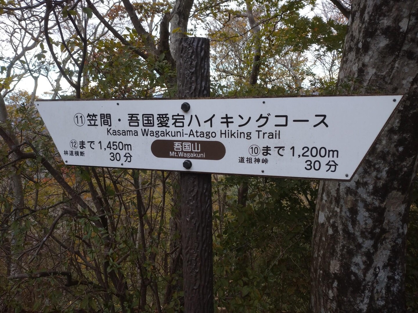 吾国山(関東百名山:59座目)常磐線 岩間駅から水戸線 福原駅まで縦走(愛宕山・南山・団子山・大福山・難台山・吾国山 ) / hachi-mituさんの加波山・吾国山・難台山の活動データ ...
