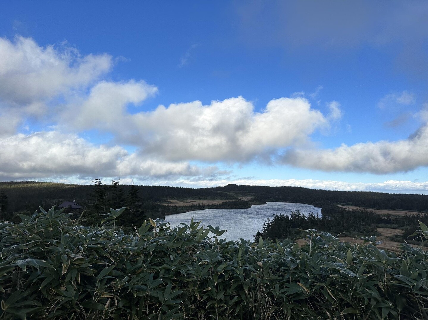 八幡平 / いーさんの岩手山・八幡平・安比高原 50km トレイルの活動データ | YAMAP / ヤマップ