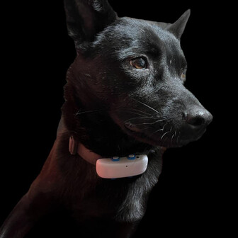 kazuponのページ | YAMAP / ヤマップ