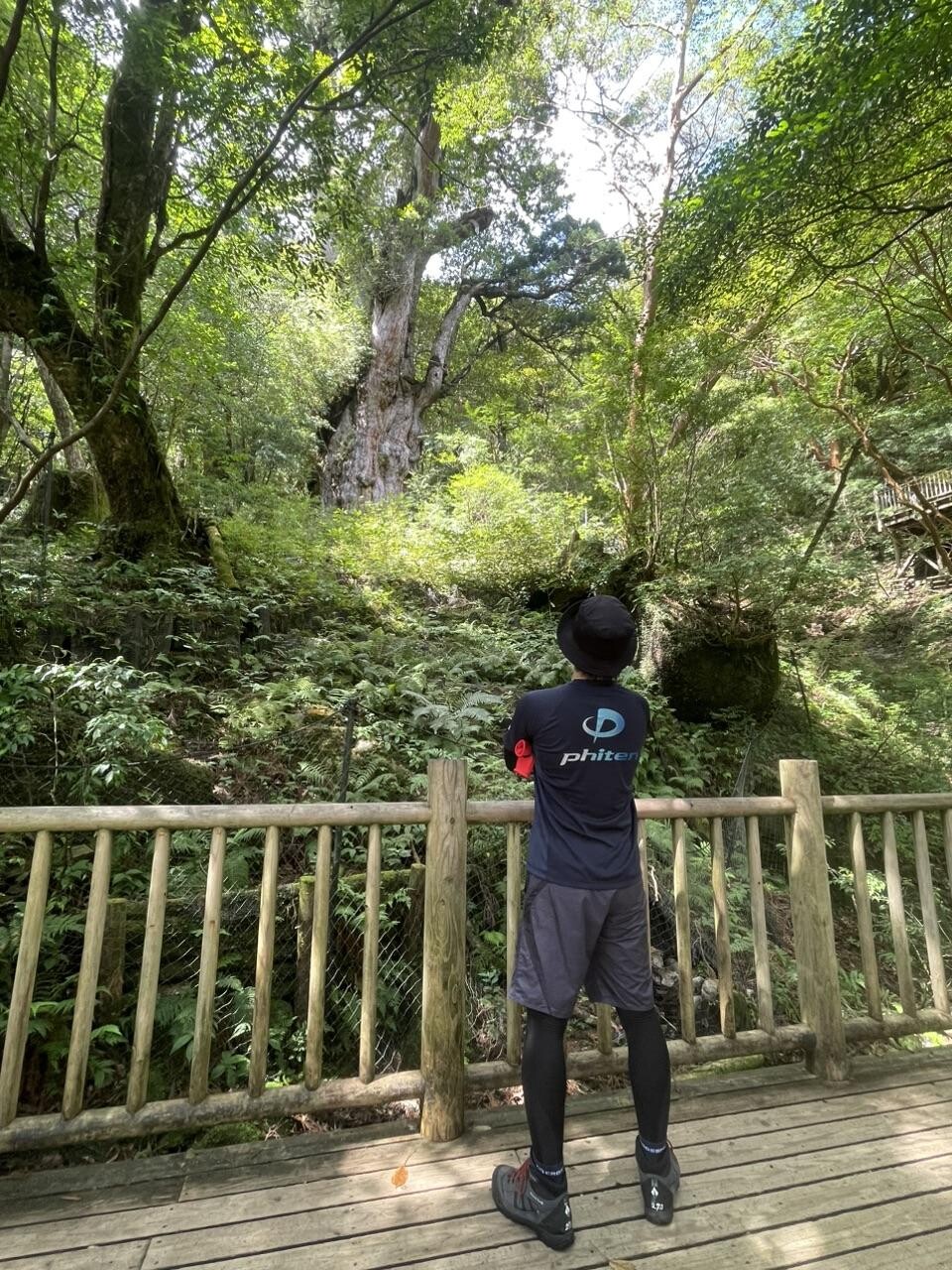 noriのページ | YAMAP / ヤマップ