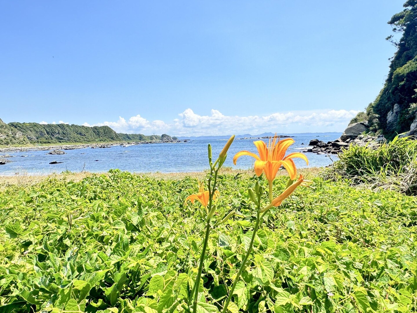 灼熱🔥の岩礁🌊歩きとグレーピーク3山⛰️ / NBさんの三浦市・関東ふれあいの道（三浦・岩礁のみち, 油壺・入江のみち, 荒崎・潮騒のみち, 小網代の森）の活動データ | YAMAP / ヤマップ