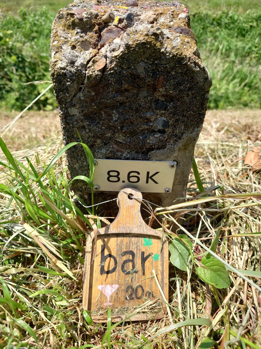 やっと発見!!八王子ピーク 「bar」🏃 / ゆーこさんの八王子市の活動データ | YAMAP / ヤマップ