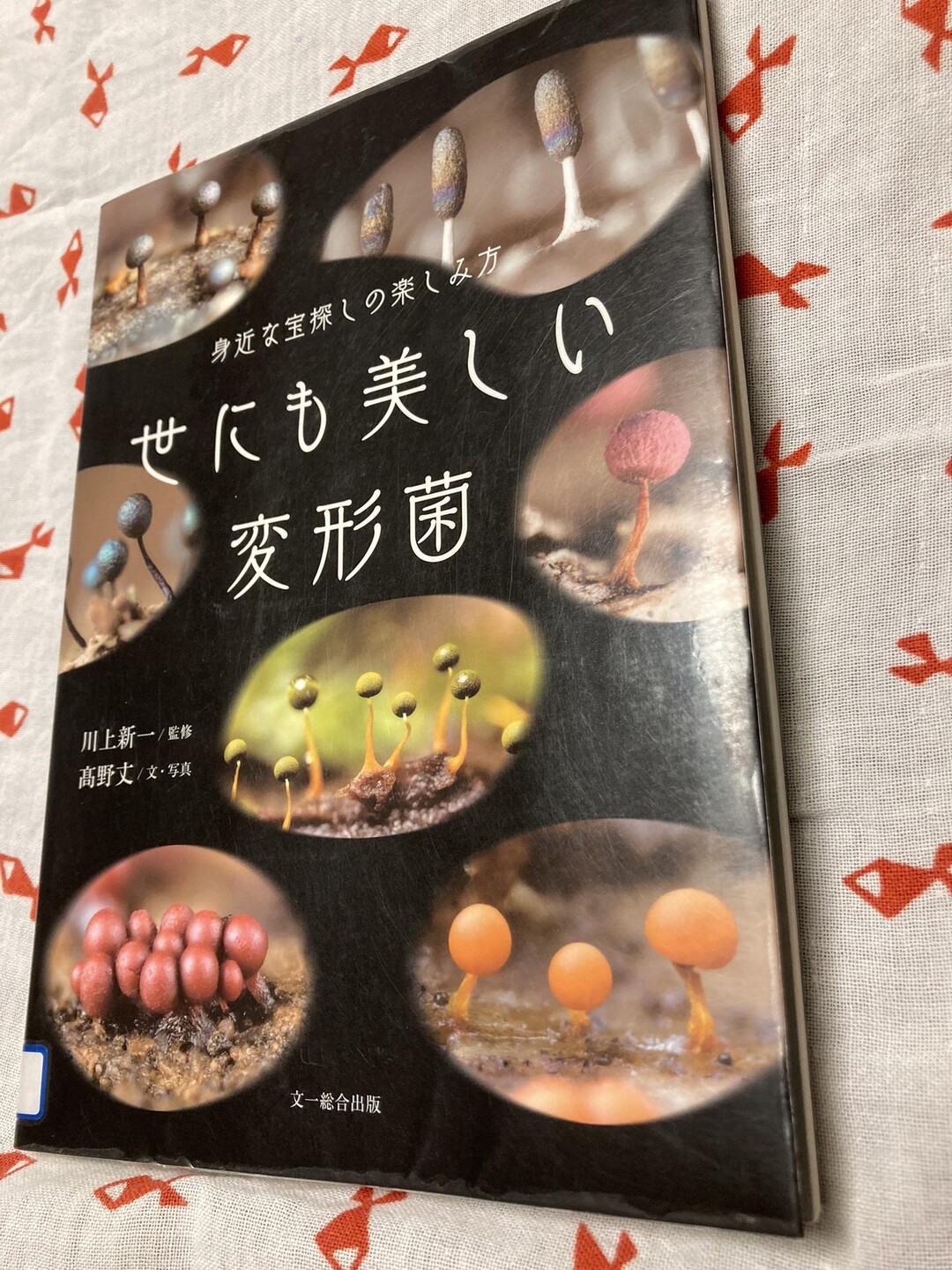 📚図書館様様📚 『世にも美しい... / にじ どろっぷさんのモーメント | YAMAP / ヤマップ