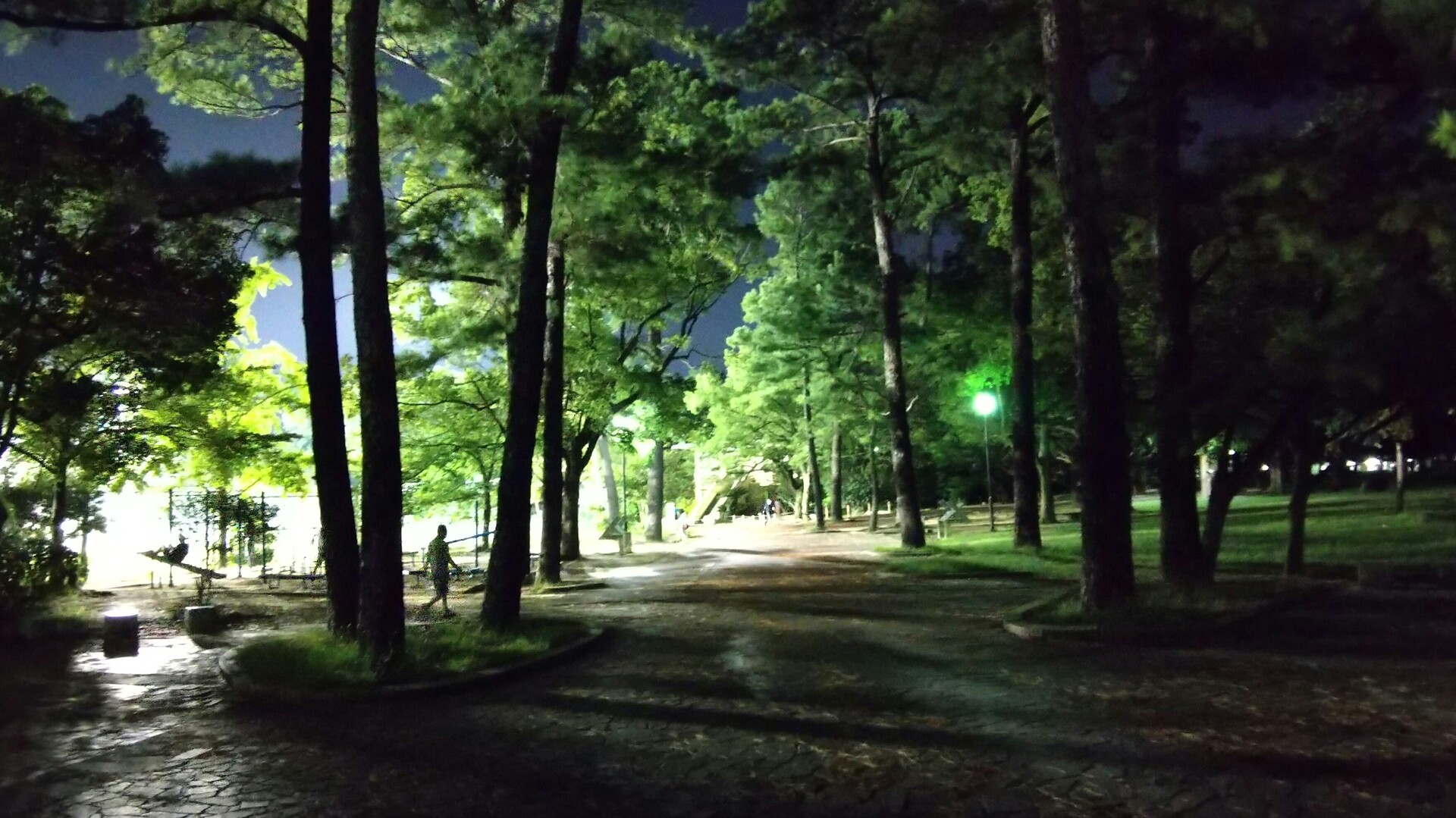 [ランニング 2020-08-24-夕] 山王公園 10 周 (1Km コース) / かっぱさんのランニングの活動データ | YAMAP / ヤマップ