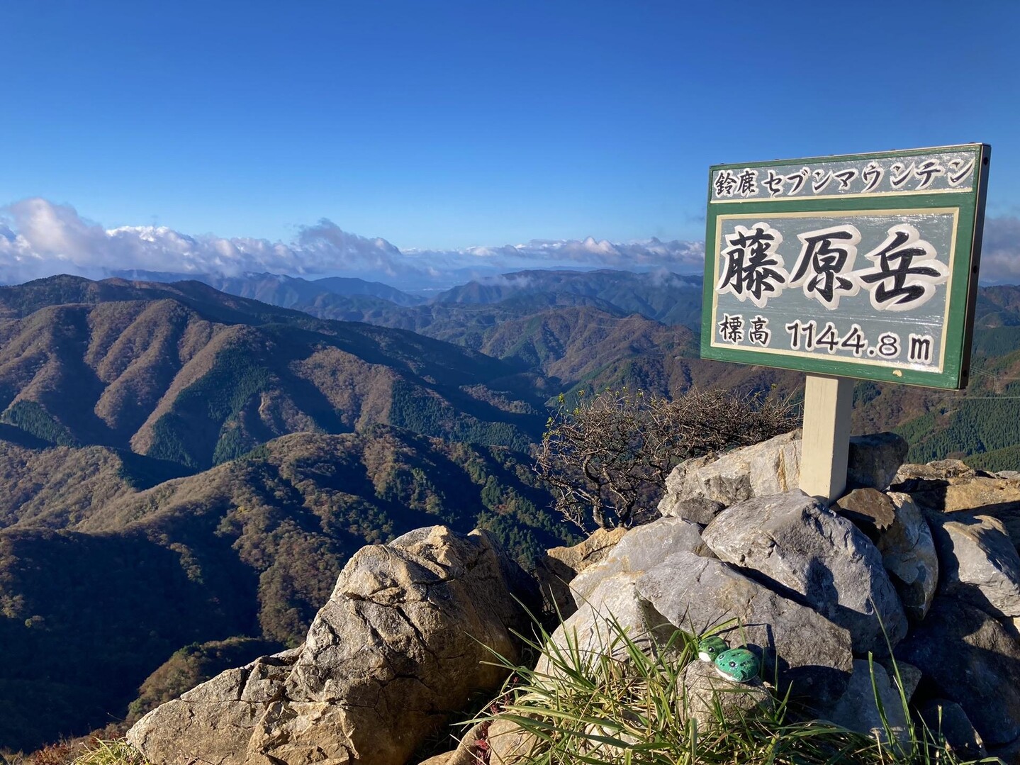 藤原岳 / sachiさんの藤原岳・御池岳の活動データ | YAMAP / ヤマップ