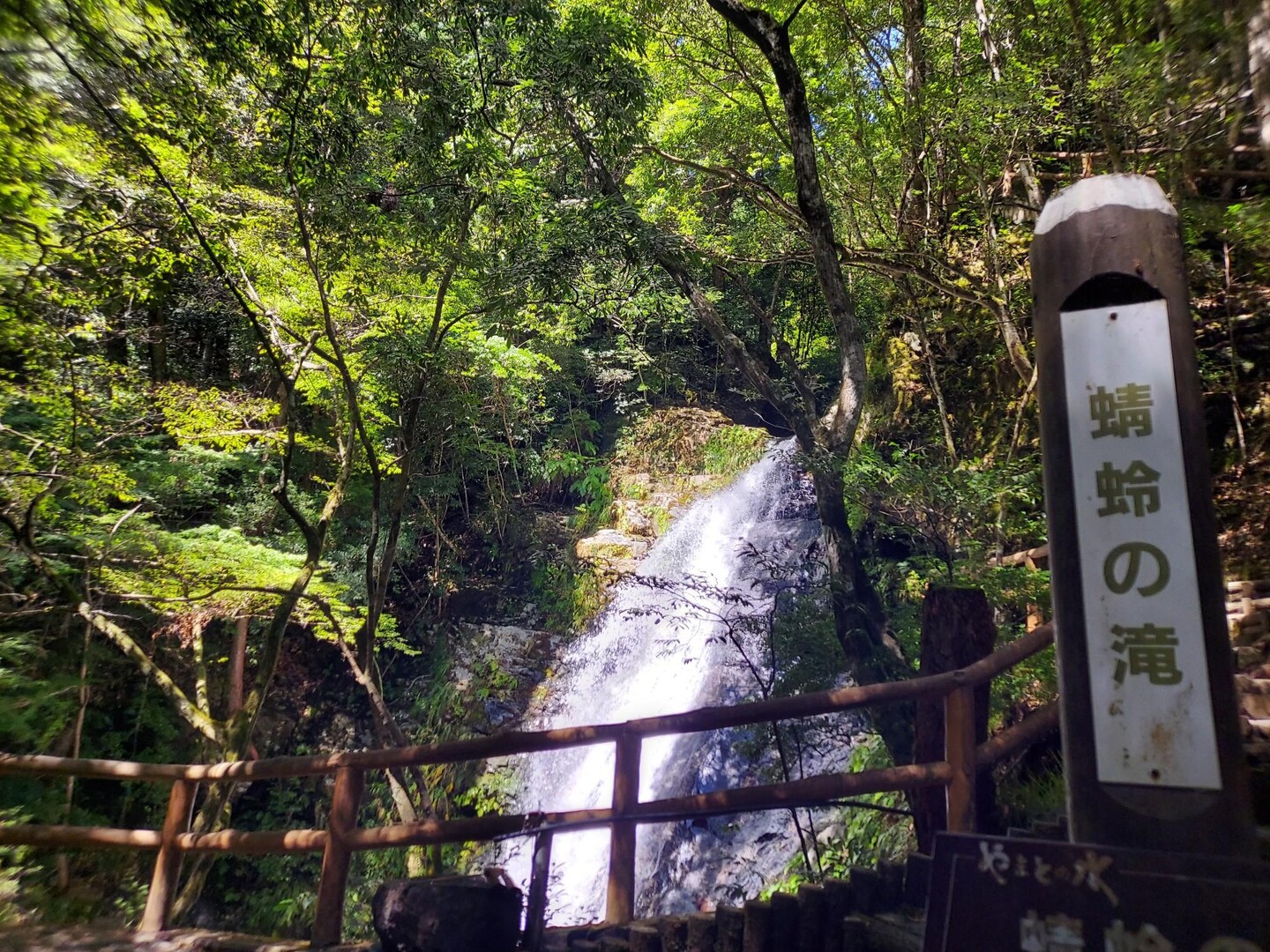蜻蛉の滝～高城山～青根ヶ峰 / ree-koさんの吉野山・青根ヶ峰・百貝岳の活動データ | YAMAP / ヤマップ