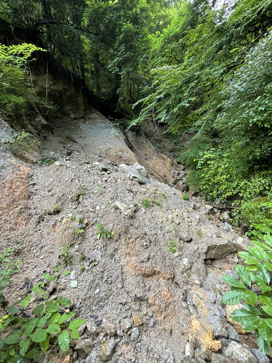 do-kichiさんの投稿したフィールドメモ | YAMAP / ヤマップ