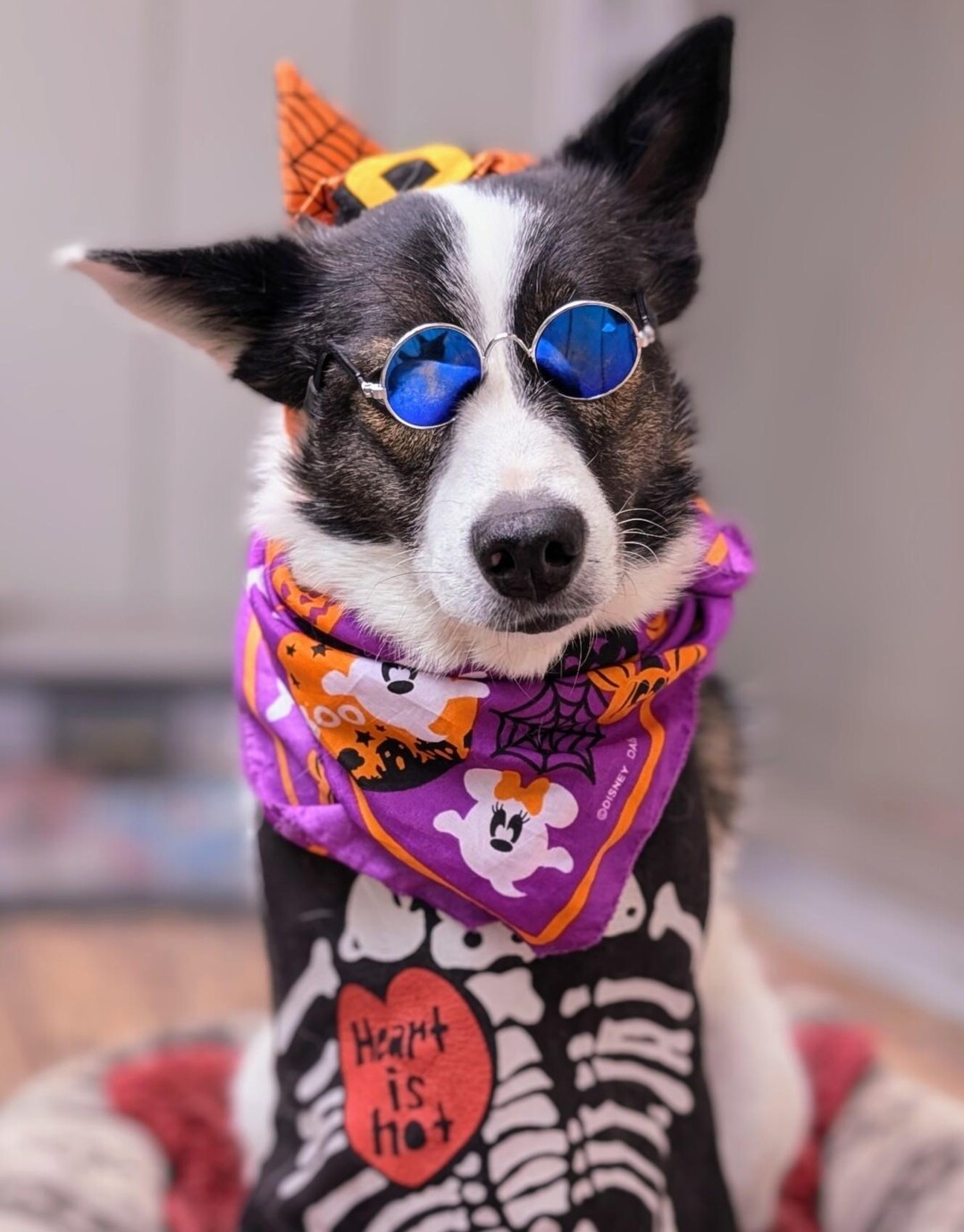 happy halloween 😅 ... / もみじ🐺 & パパ😎さんのモーメント | YAMAP / ヤマップ