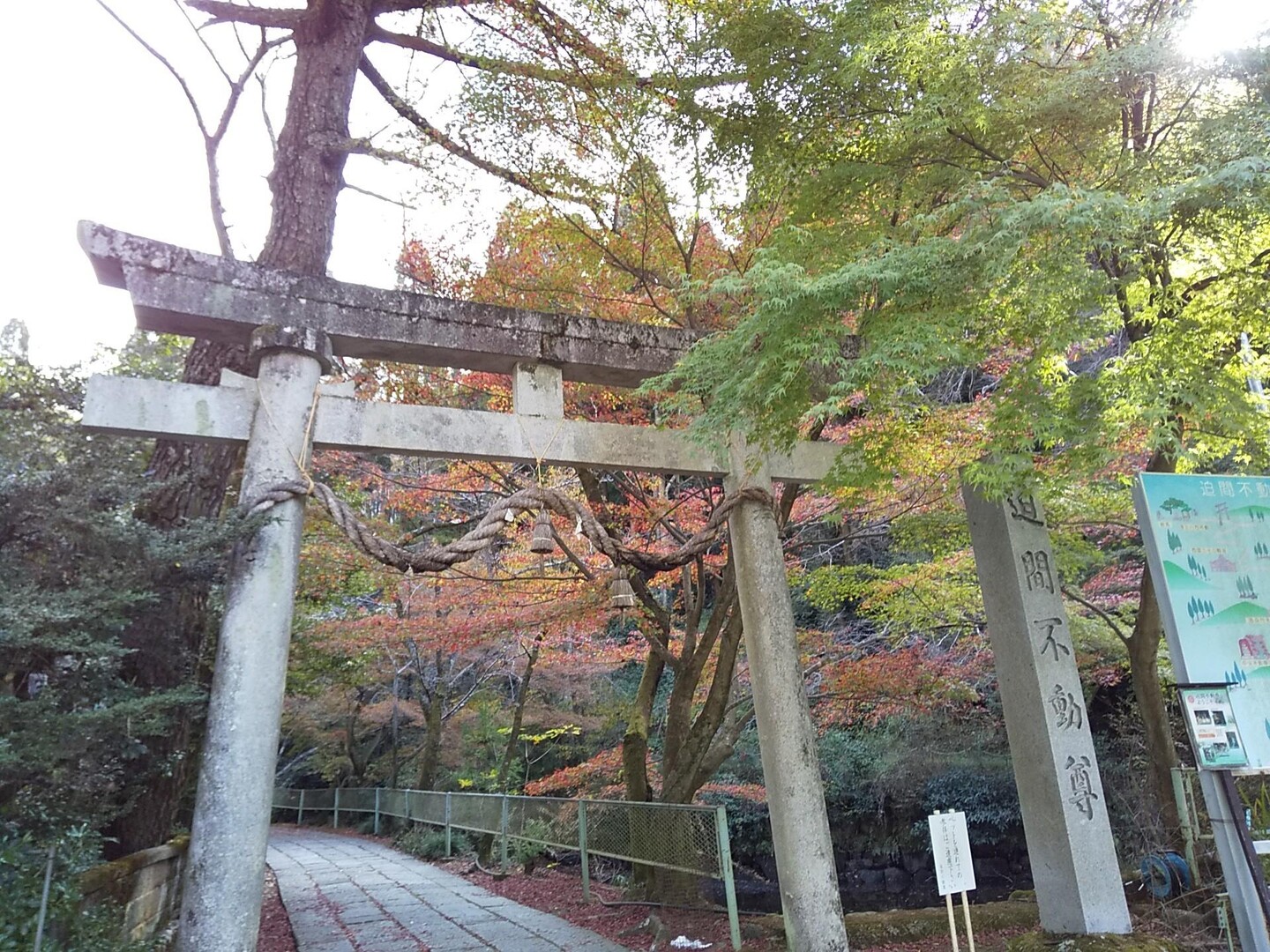 金比羅山・明王山・迫間山 / satomi29さんの各務原アルプス（関南アルプス）・八木三山の活動データ | YAMAP / ヤマップ