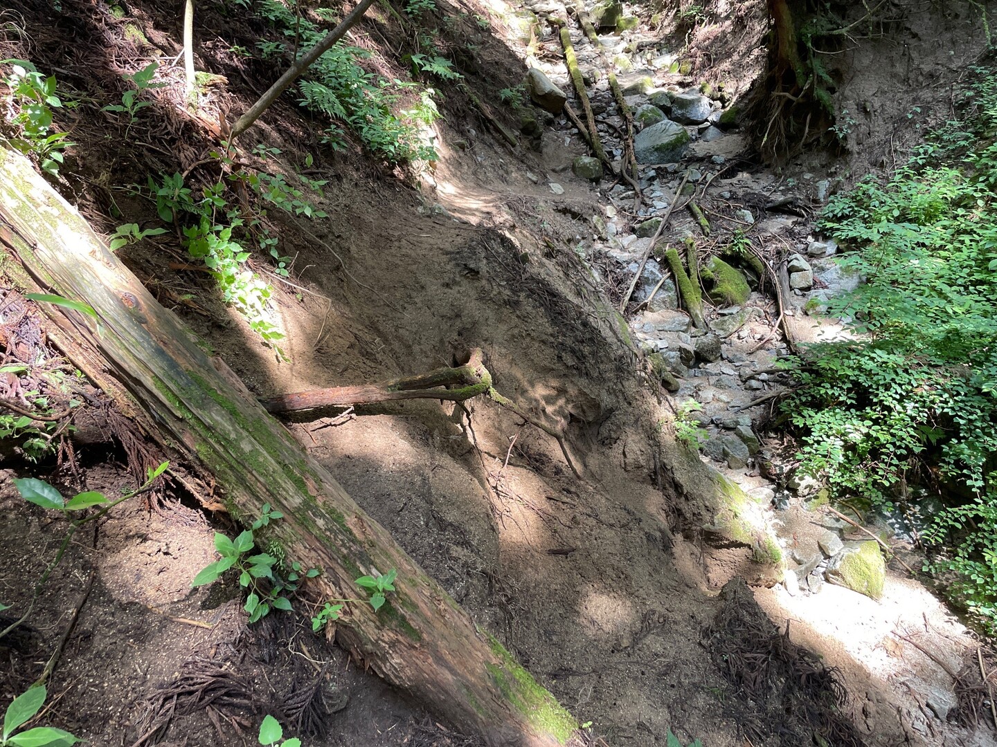 KOH-Z(オッサン釣り倶楽部)さんの投稿したフィールドメモ | YAMAP / ヤマップ