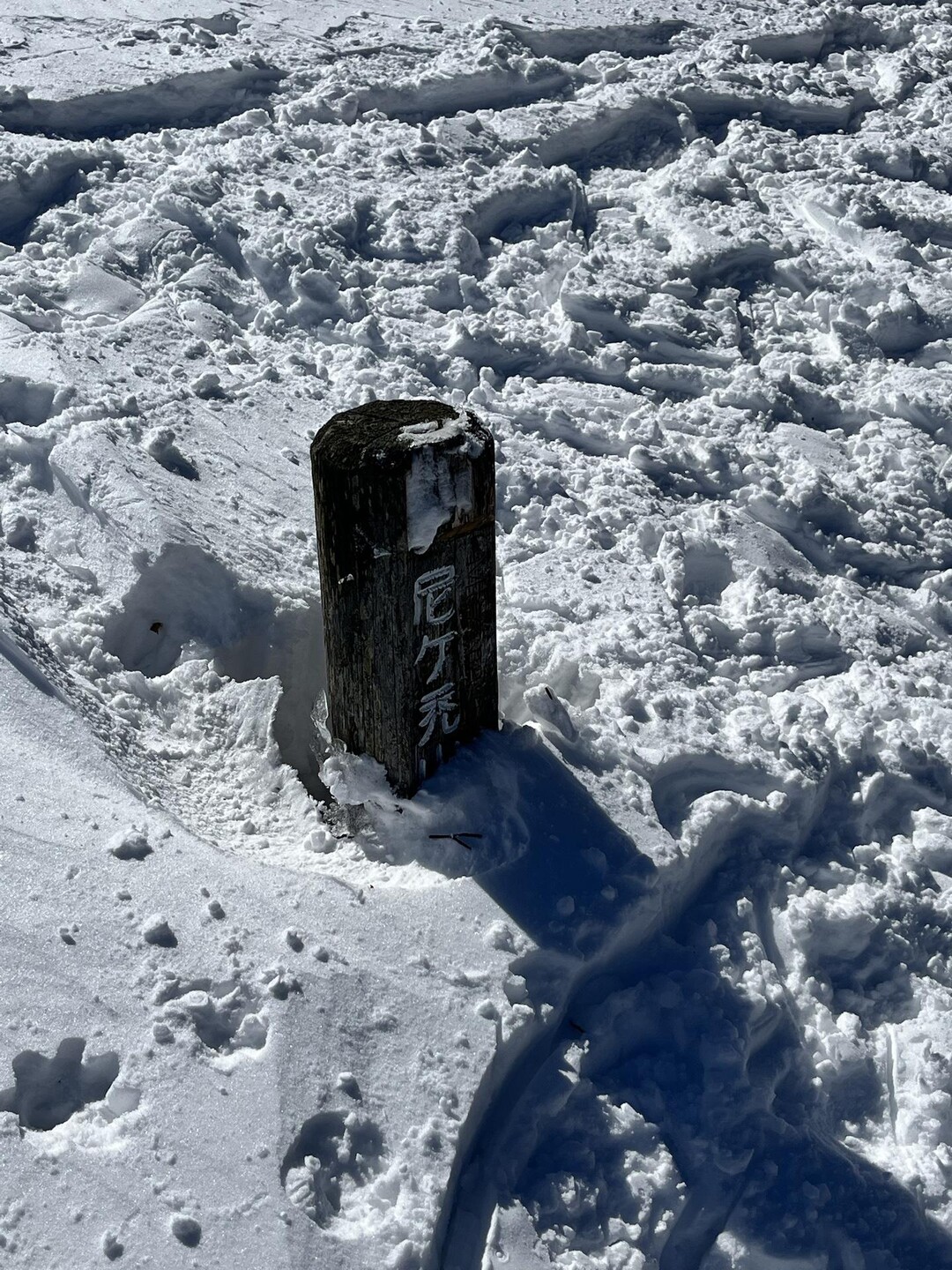 尼ヶ禿山 / kz_432さんの武尊山・鹿俣山・尼ヶ禿山の活動データ | YAMAP / ヤマップ