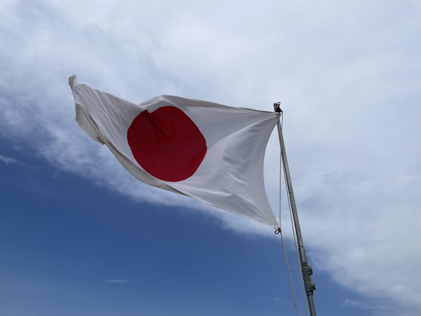 初夏の右田ヶ岳 / YS-153さんの右田ヶ岳・西目山・楞厳寺山の活動データ | YAMAP / ヤマップ