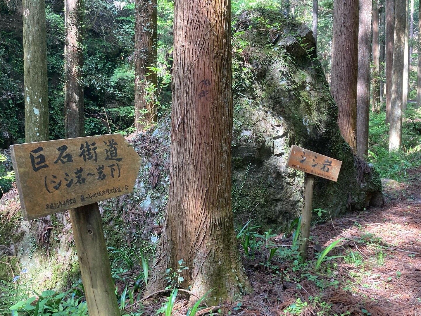 BAYSさんの投稿したフィールドメモ | YAMAP / ヤマップ