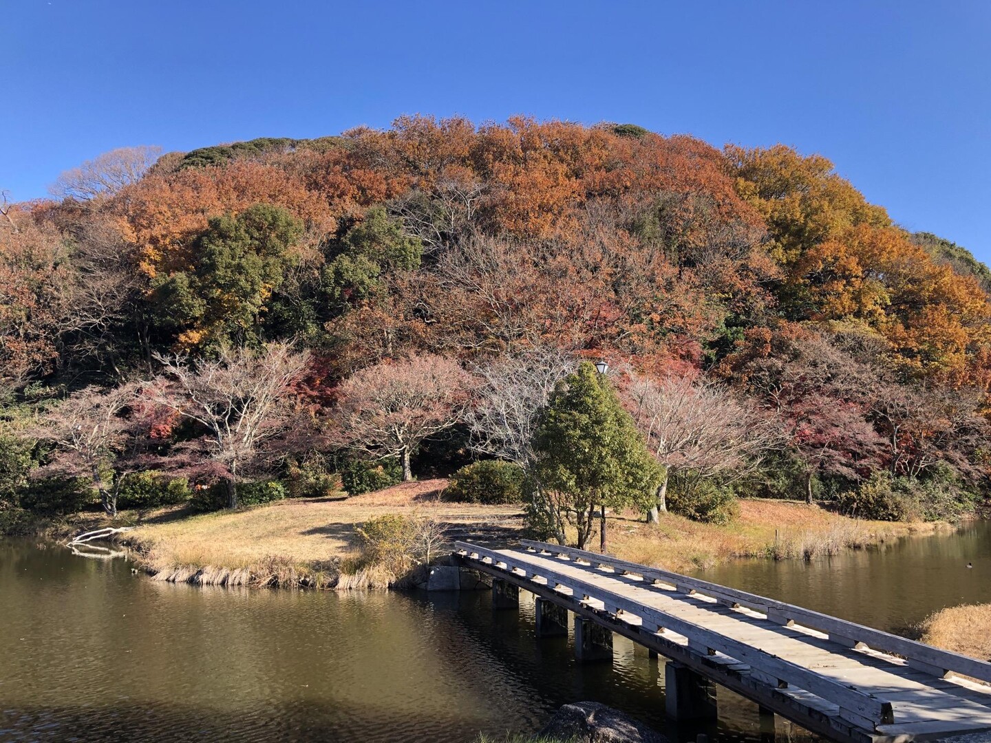 「佐鳴湖公園ウォーク+根川山」 / zaucatsさんの浜松市（北区）の活動データ | YAMAP / ヤマップ