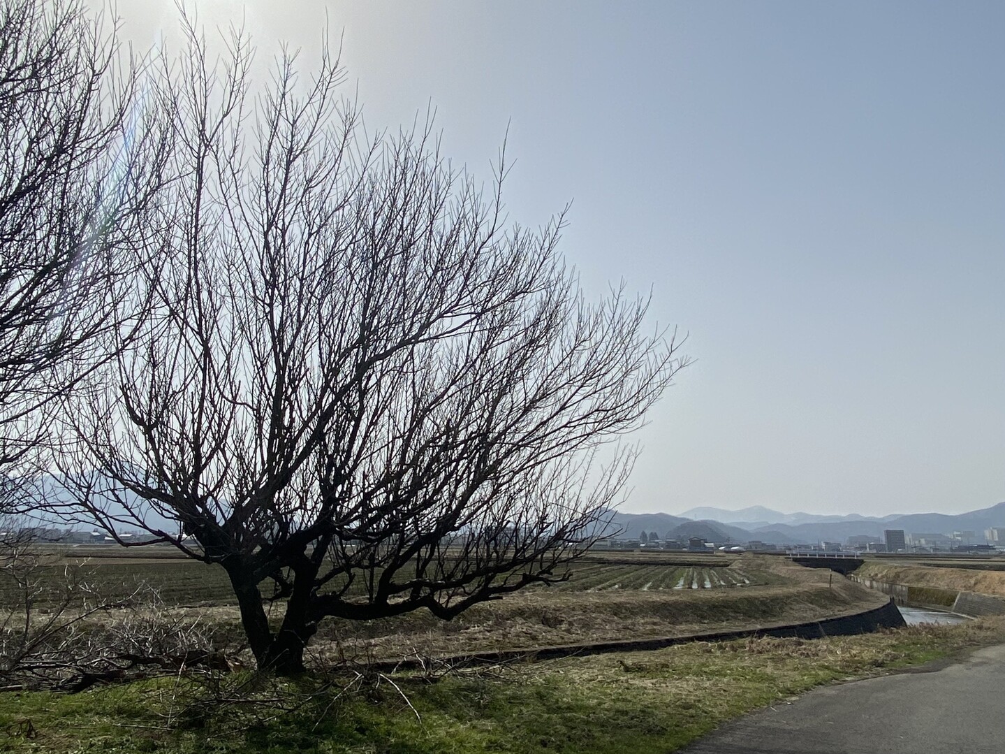 ️️ 啓蟄 ️ 3月5日は、二十四... / meshiさんのモーメント | YAMAP / ヤマップ