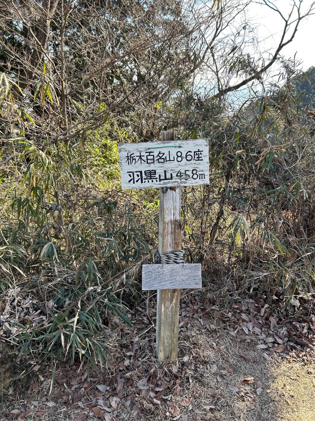 羽黒山 / yuu39さんの羽黒山の活動データ | YAMAP / ヤマップ