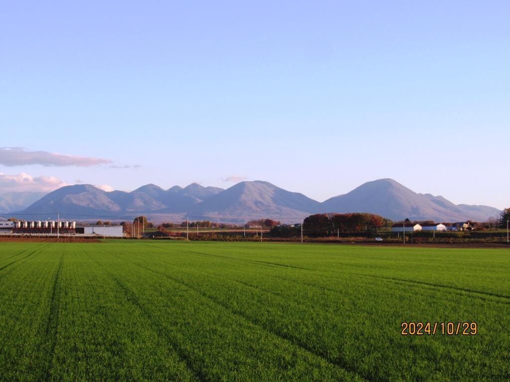 ランニング-2024-10-29 / miyaさんのランニングの活動データ | YAMAP / ヤマップ